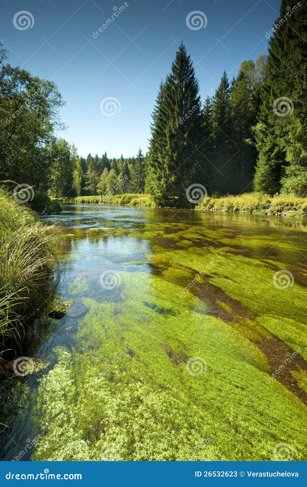 Vltava River - the National Park Stock Image - Image of park ...