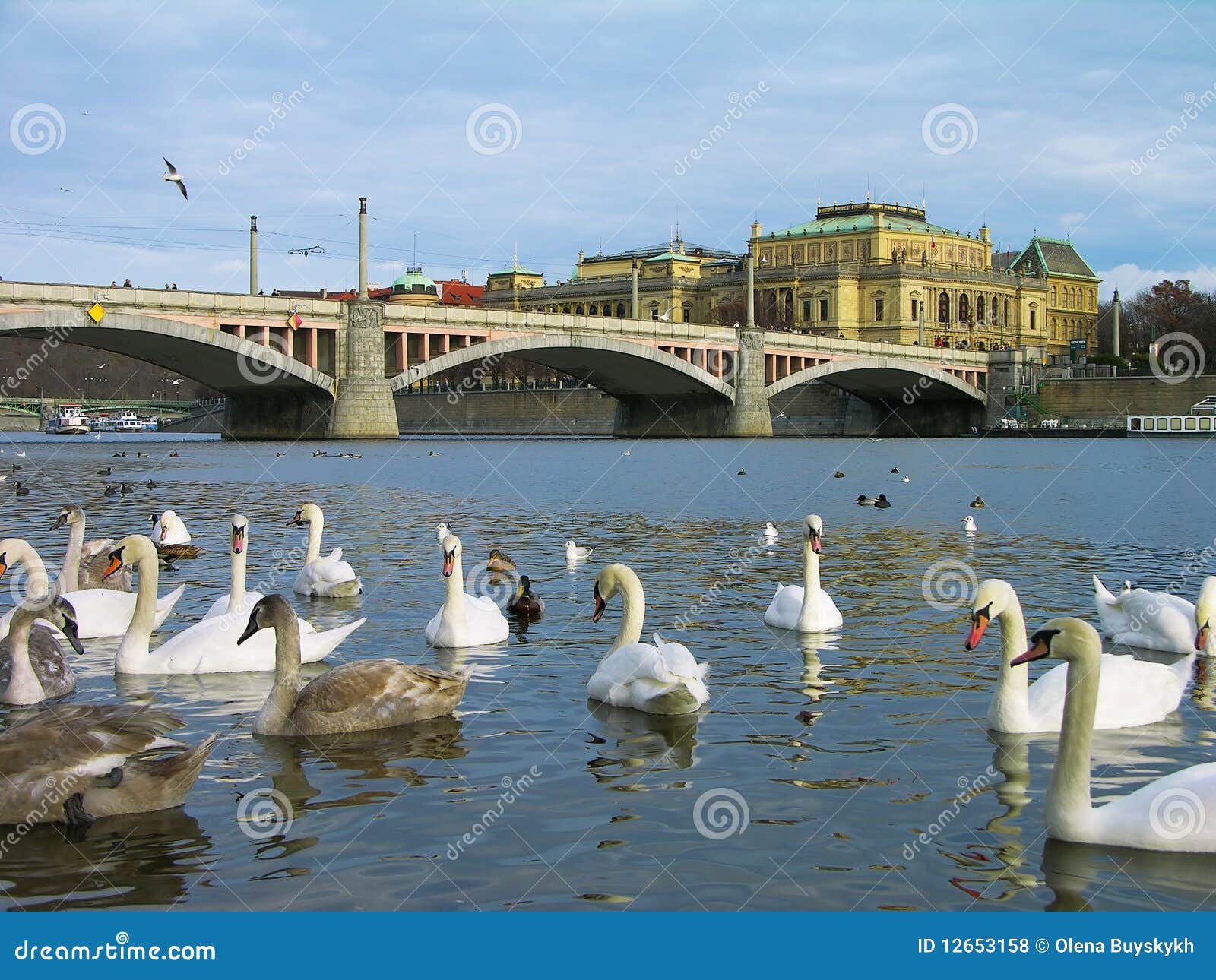 Vltava River, Prague, Czech Republic Stock Photo - Image of ...