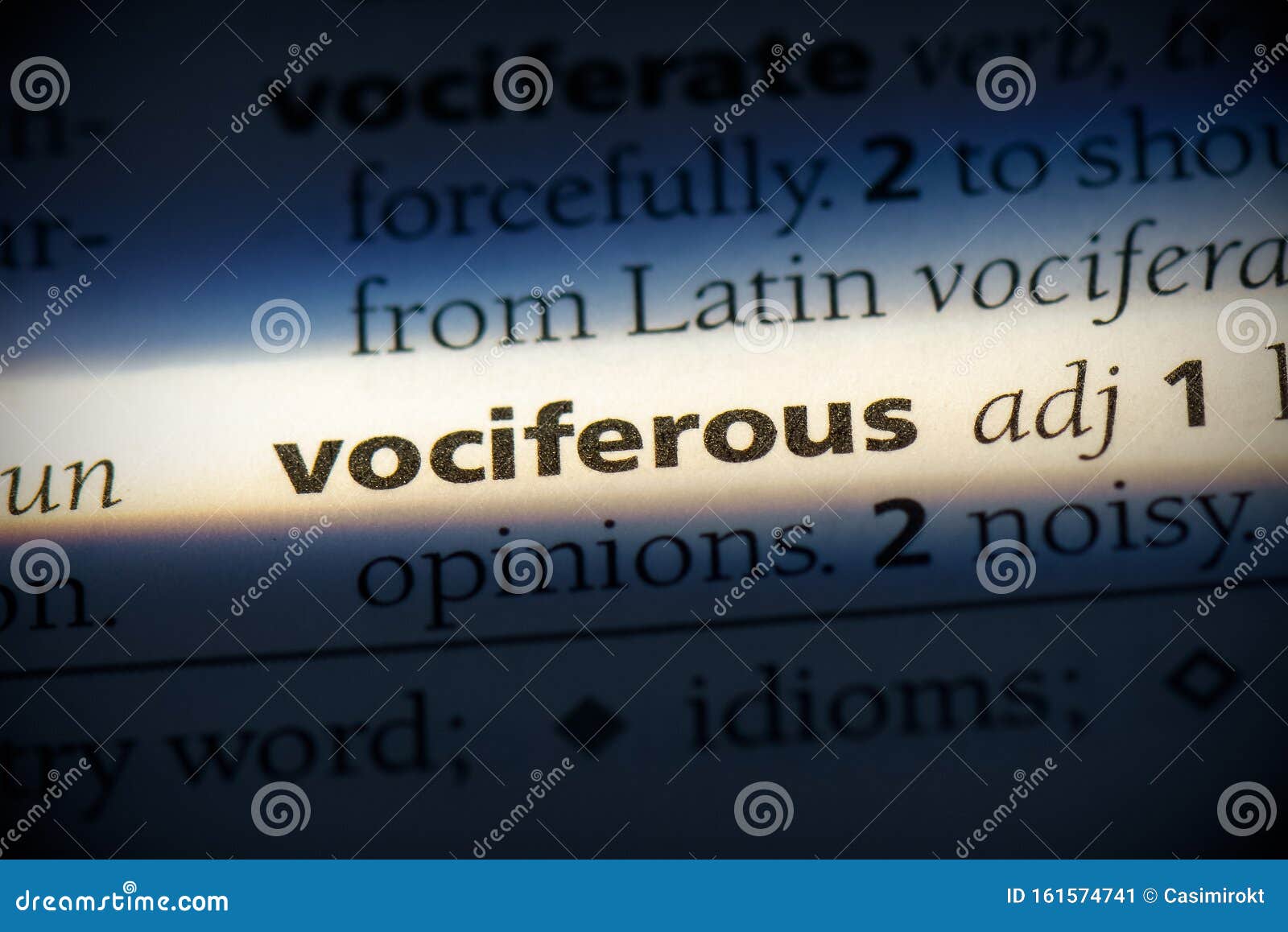Vociferous stock image. Image of education, meaning - 161574741