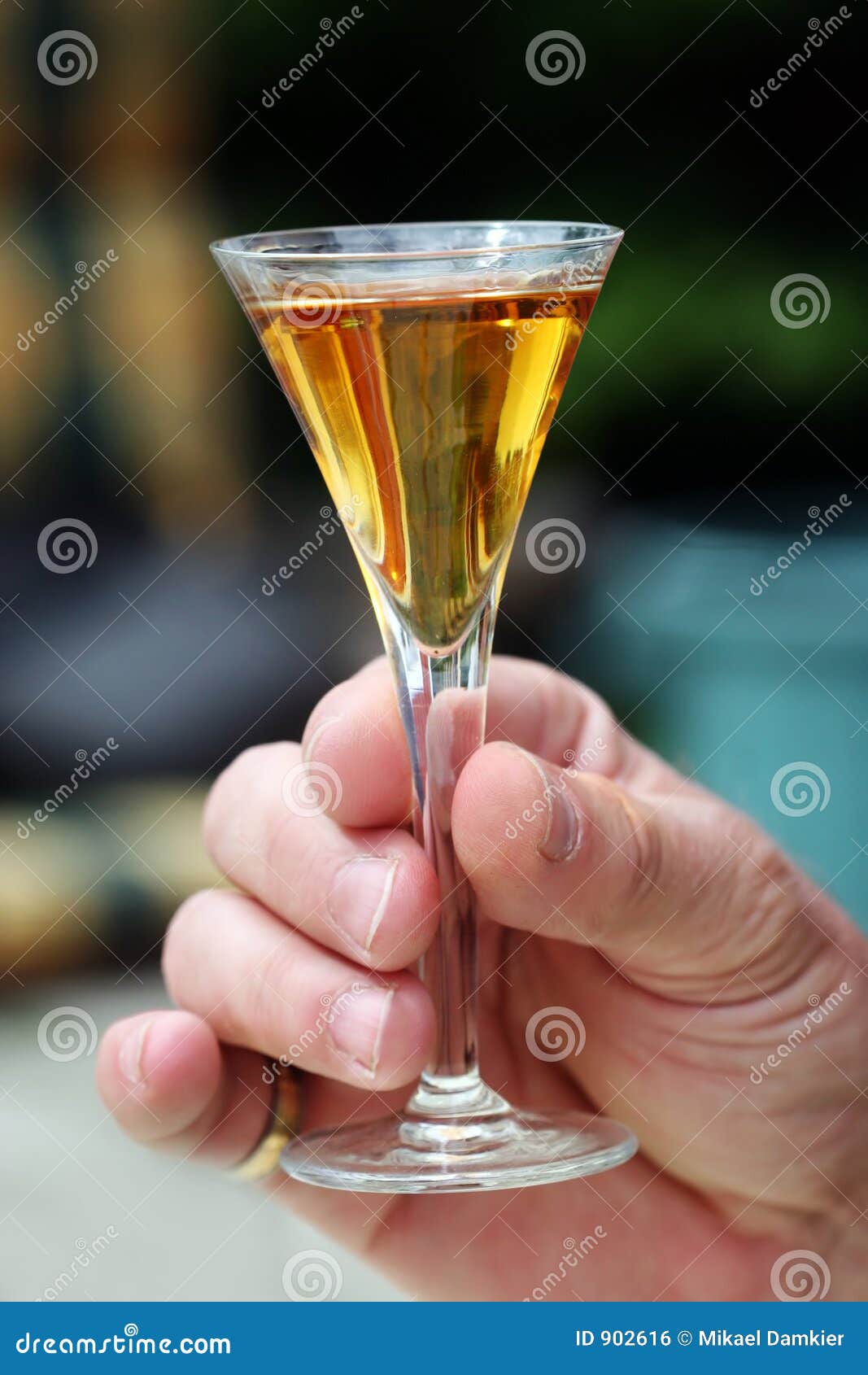 Vodka stock photo. Image of midsummer, scandinavia, glass - 902616