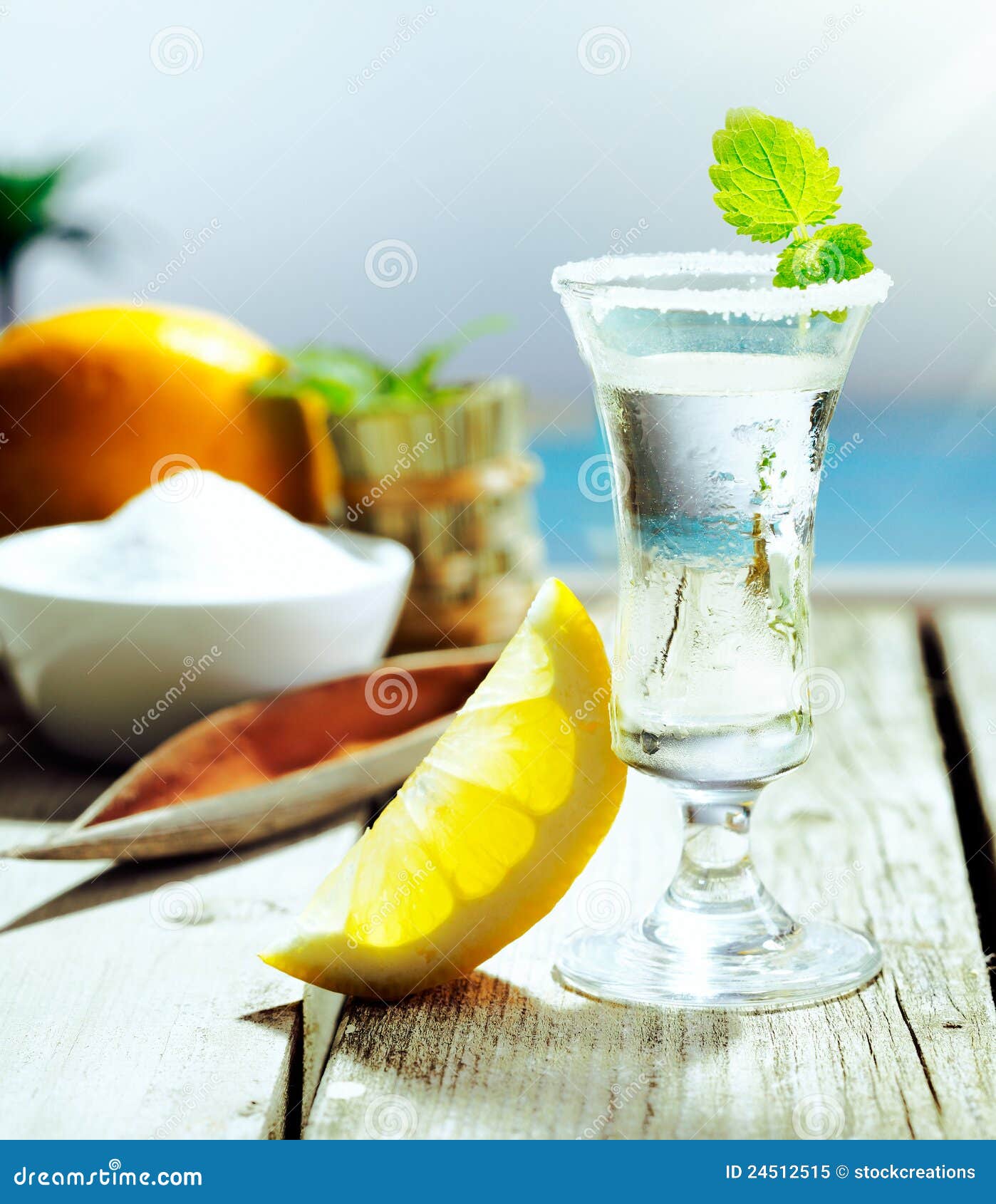 Vodka Ice Bar Royalty-Free Stock Image | CartoonDealer.com #160804852