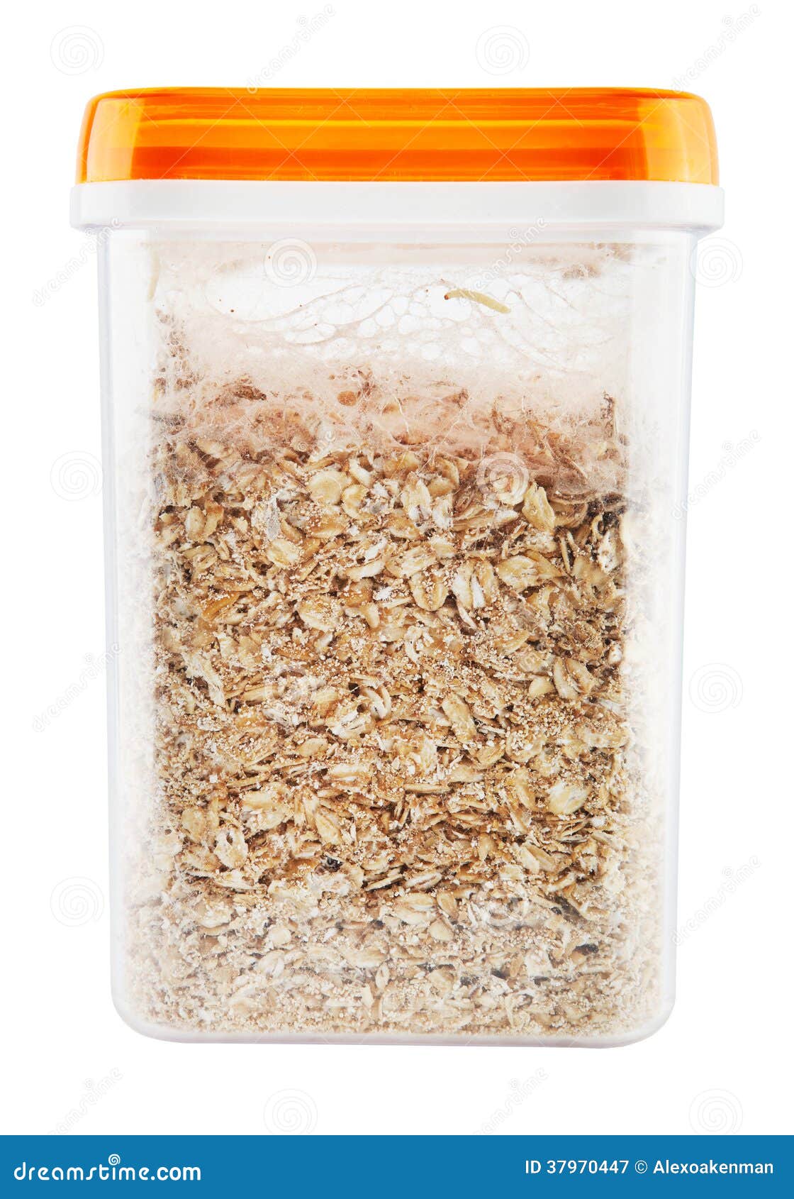 Voedselmotten. stock afbeelding. Image of kruidenierswinkels - 37970447