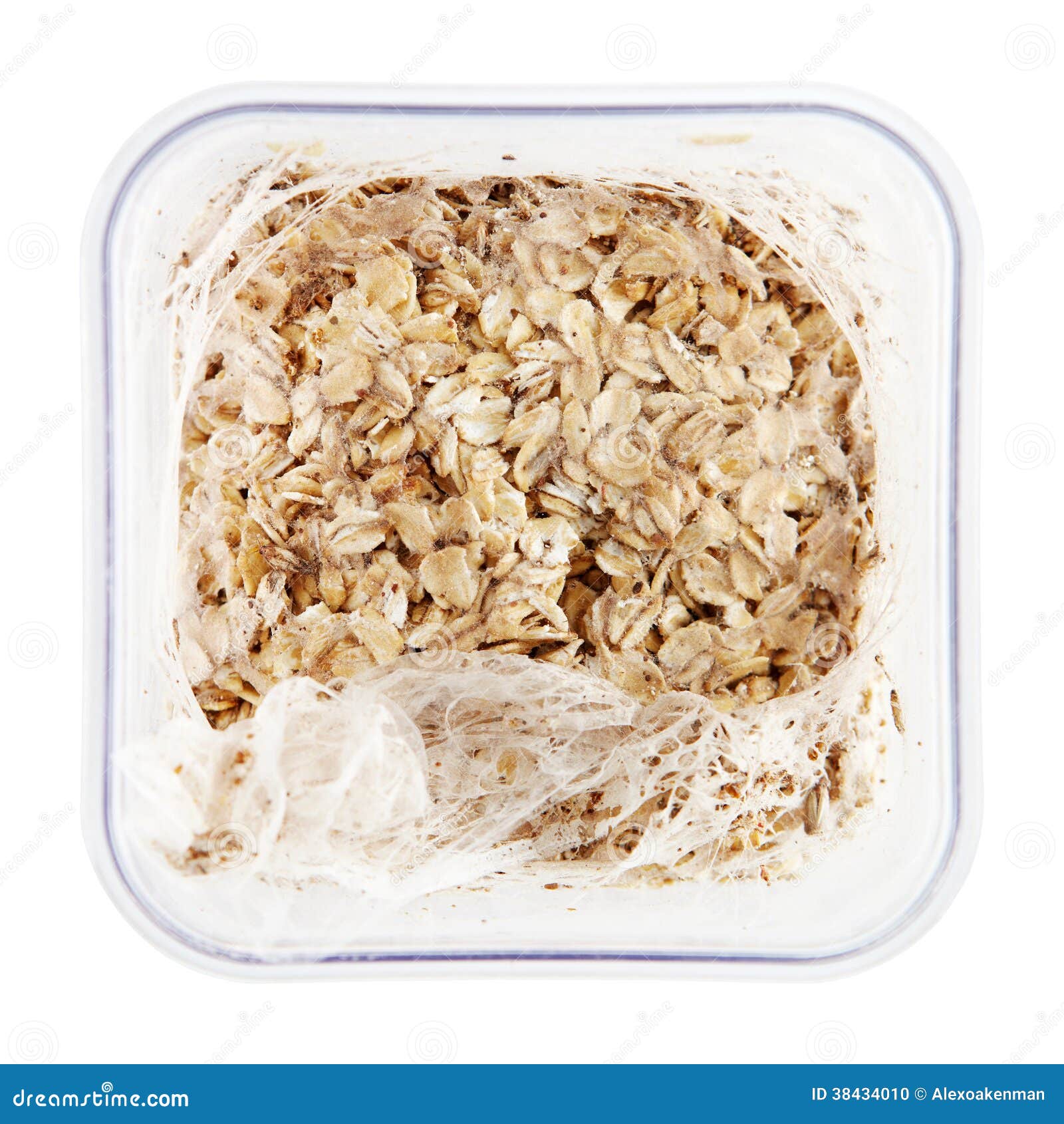 Voedselmotten. stock foto. Image of insect, kruidenierswinkels - 38434010