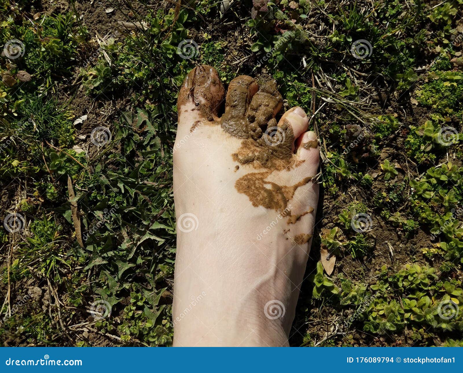 Voet Die in Modder of Poep Op Gras Stapte Stock Foto - Image of modder ...