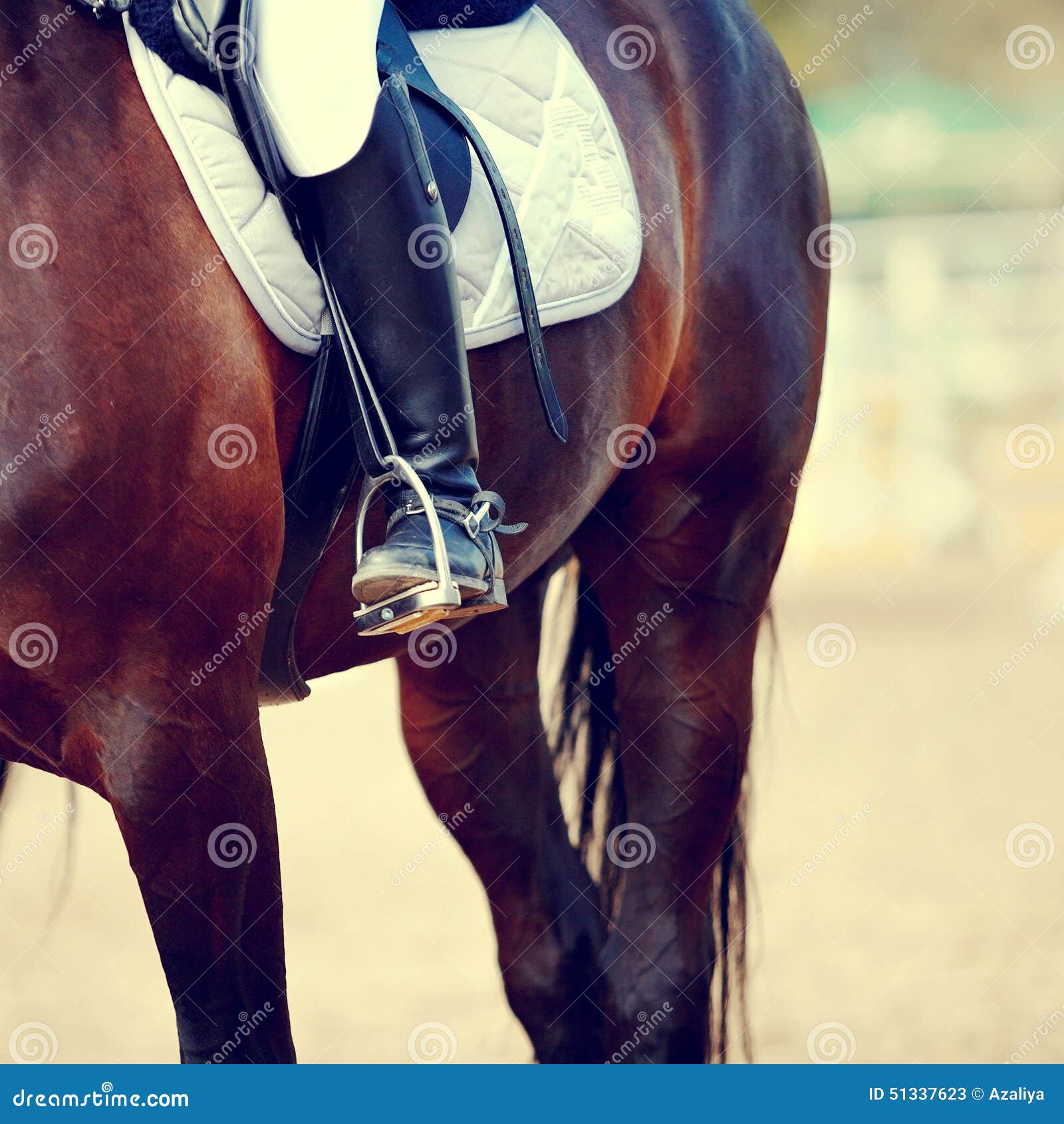 Voet Van De Atleet in Een Stijgbeugel Stock Afbeelding - Image of ...