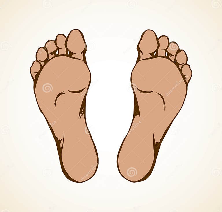 Voet Vector tekening vector illustratie. Illustration of lichaam ...