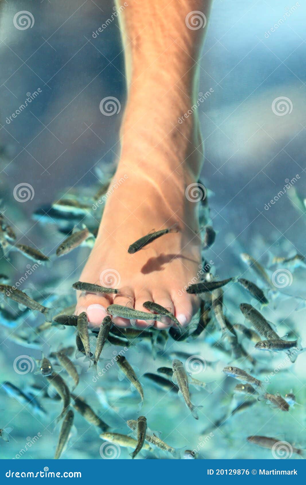Voeten pedicure fish spa stock foto. Image of levensstijl - 20129876