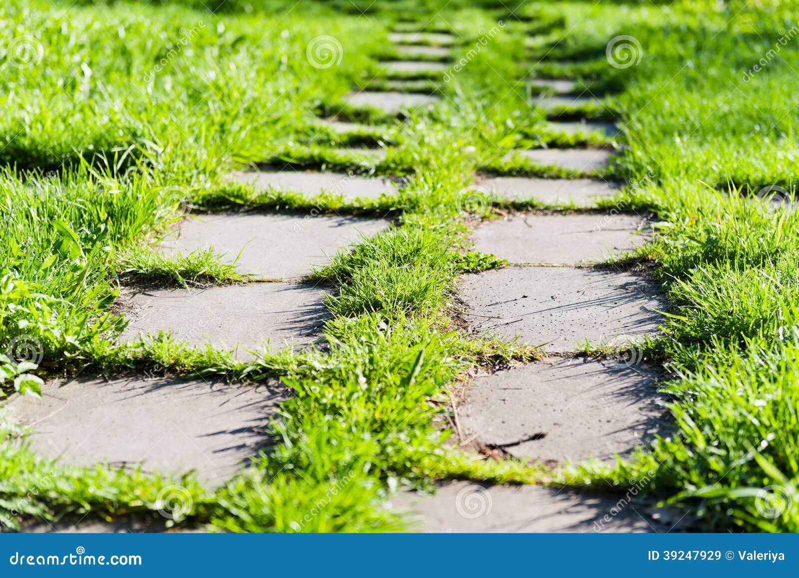 Voetpad in het park stock afbeelding. Image of landelijk - 39247929