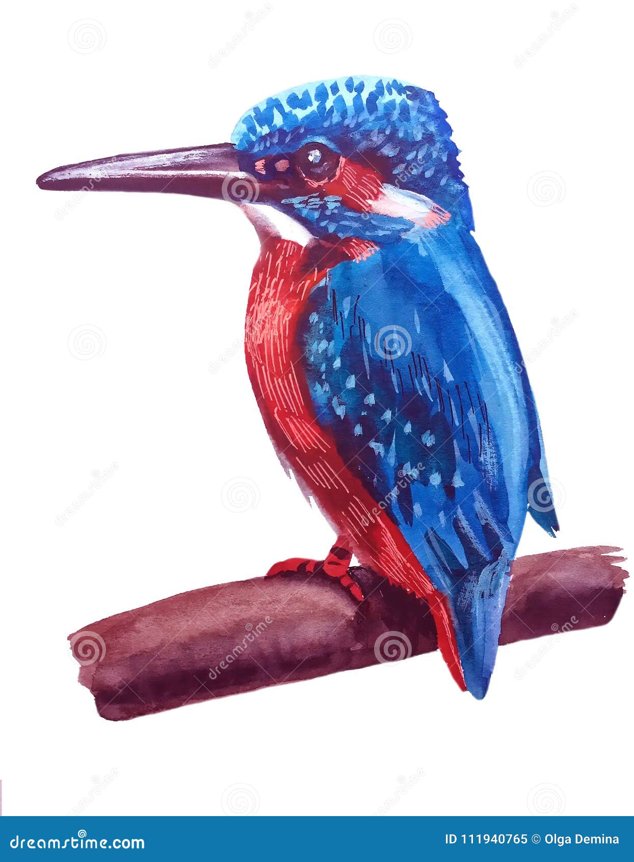 Vogel Heldere Blauwe Ijsvogel Met Rood Stock Afbeelding - Illustration ...