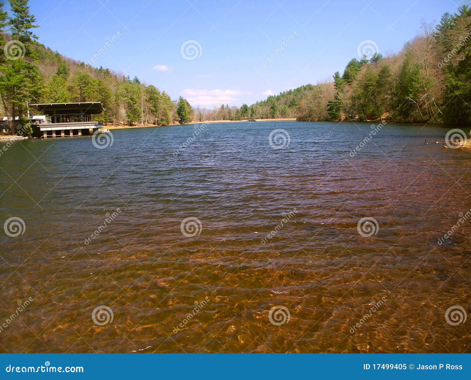 Vogel State Park - Georgia stock image. Image of environmental - 17499405