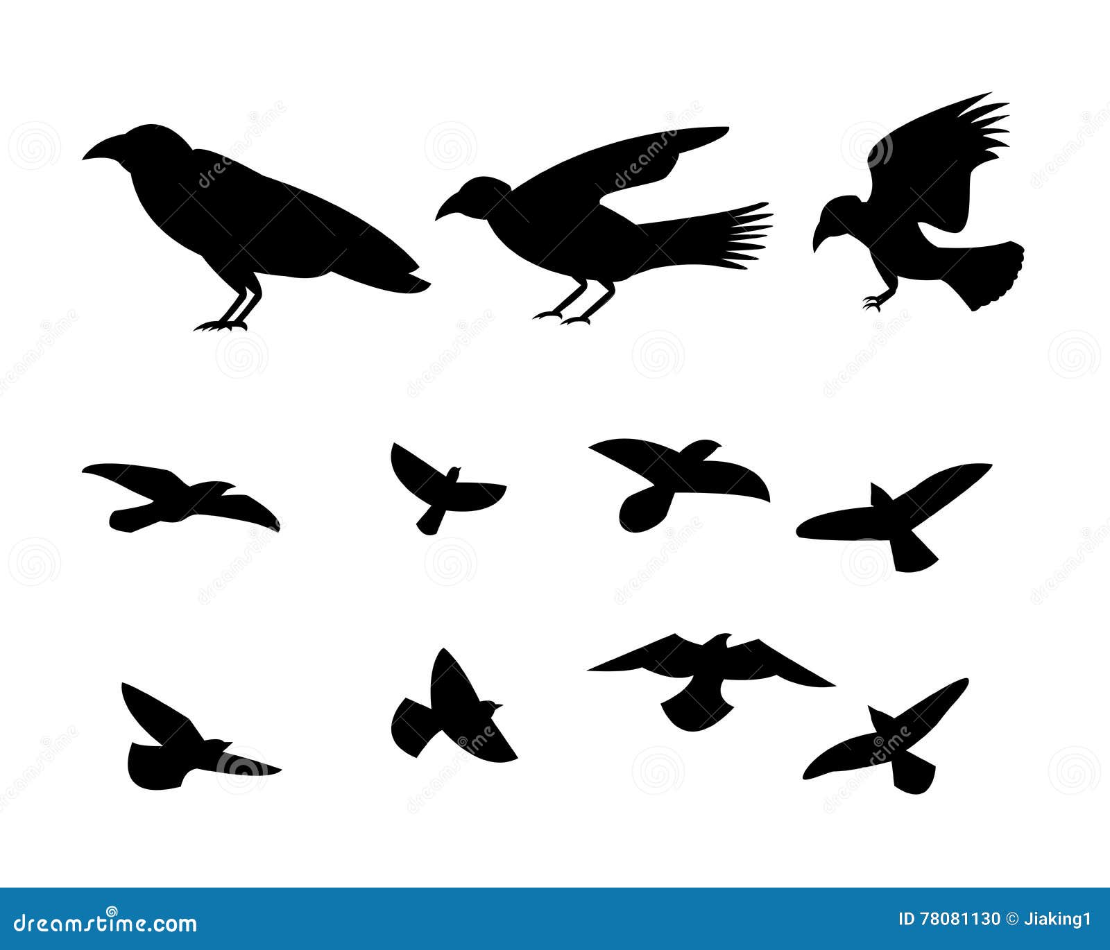 Vogel Van De Silhouet De Vliegende Raaf, Vector Vector Illustratie ...