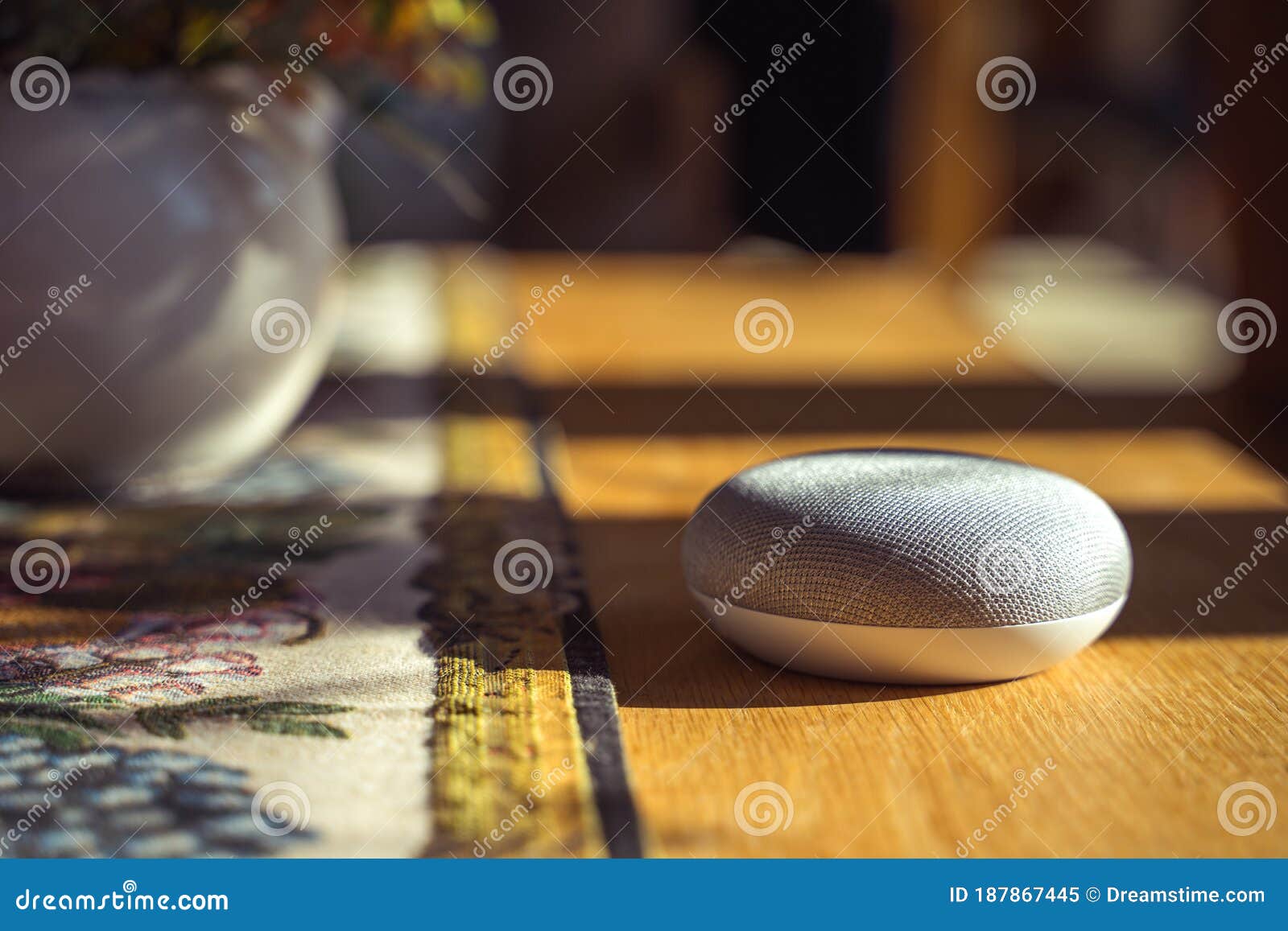 Voice Controlled Smart Speaker in a Interior Home Environment. Smart ...