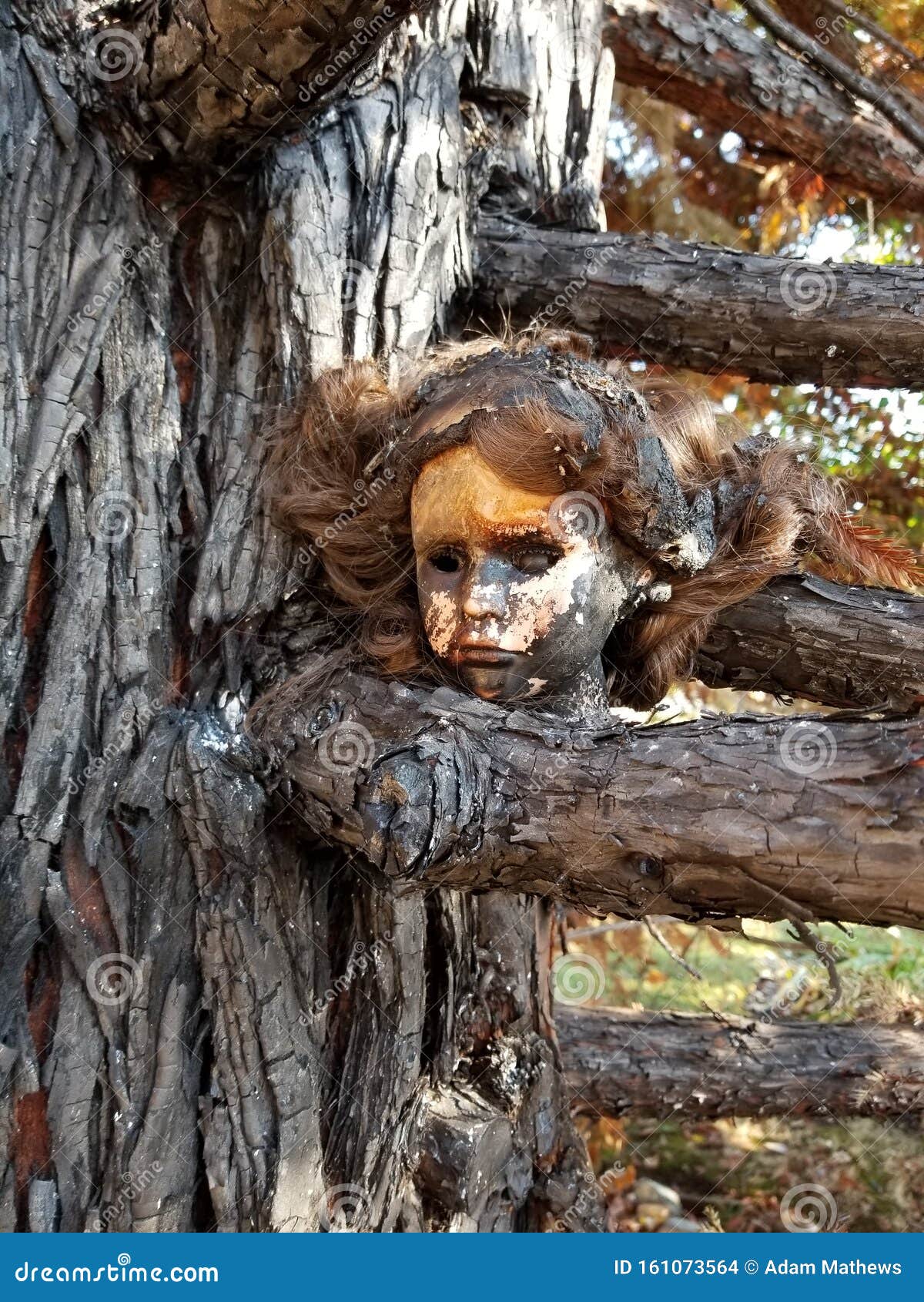 Void emotion stock photo. Image of doll, twisted, void - 161073564