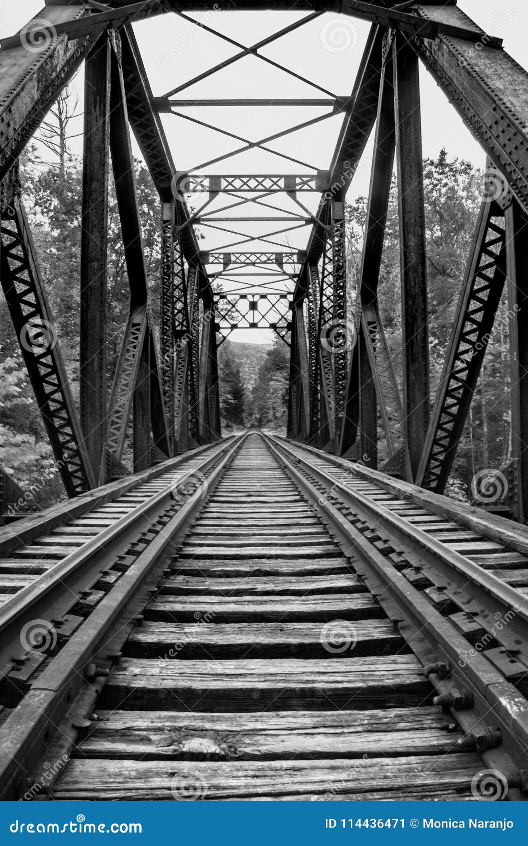 Voies sur le pont en train image stock. Image du blanc - 114436471