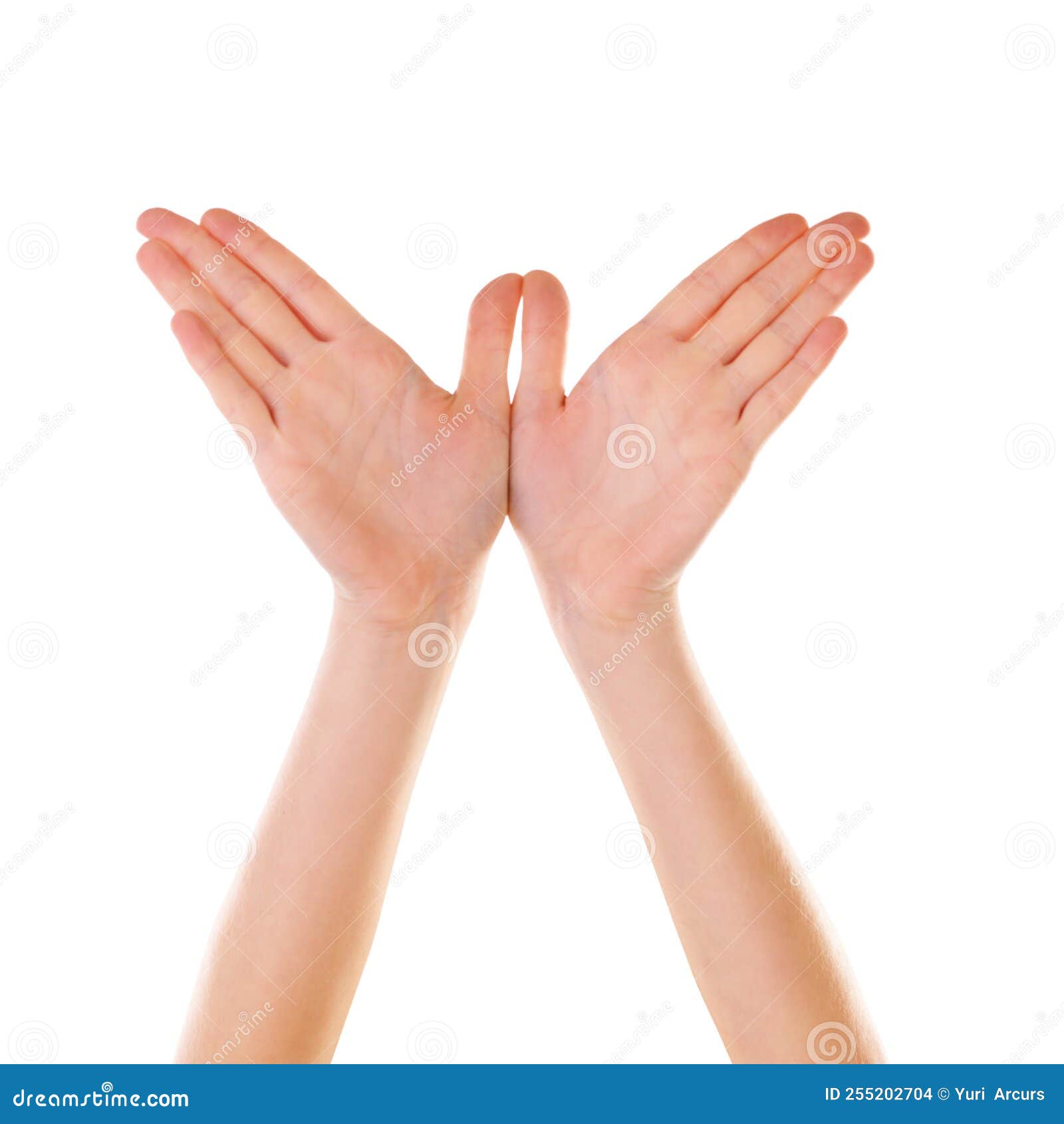 Volar. Manos Que Muestran Un Gesto Aislado En Blanco. Foto de archivo ...