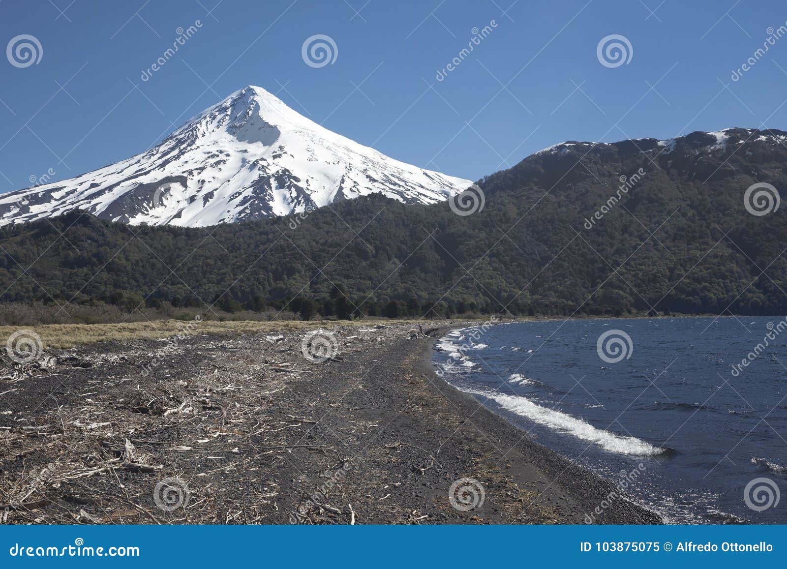 Volcan Lanin, Patagonia, Argentina Immagine Stock - Immagine di ...