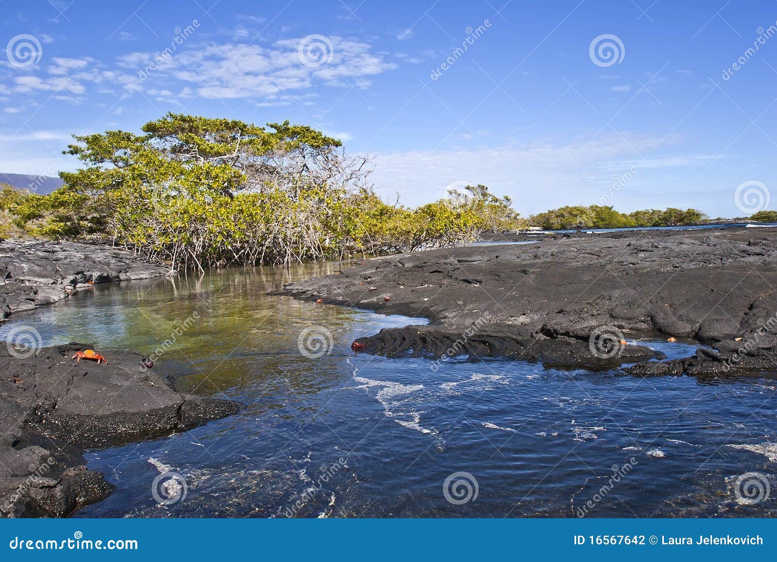 Volcanic beach stock photo. Image of island, travel, hard - 16567642