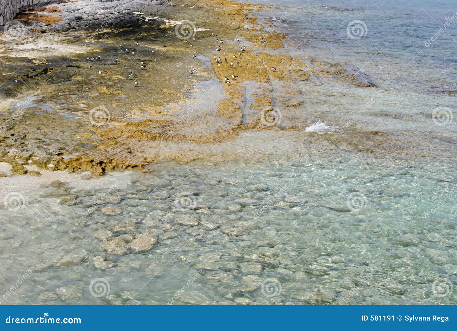 Volcanic Beach stock image. Image of coastline, ocean, rock - 581191
