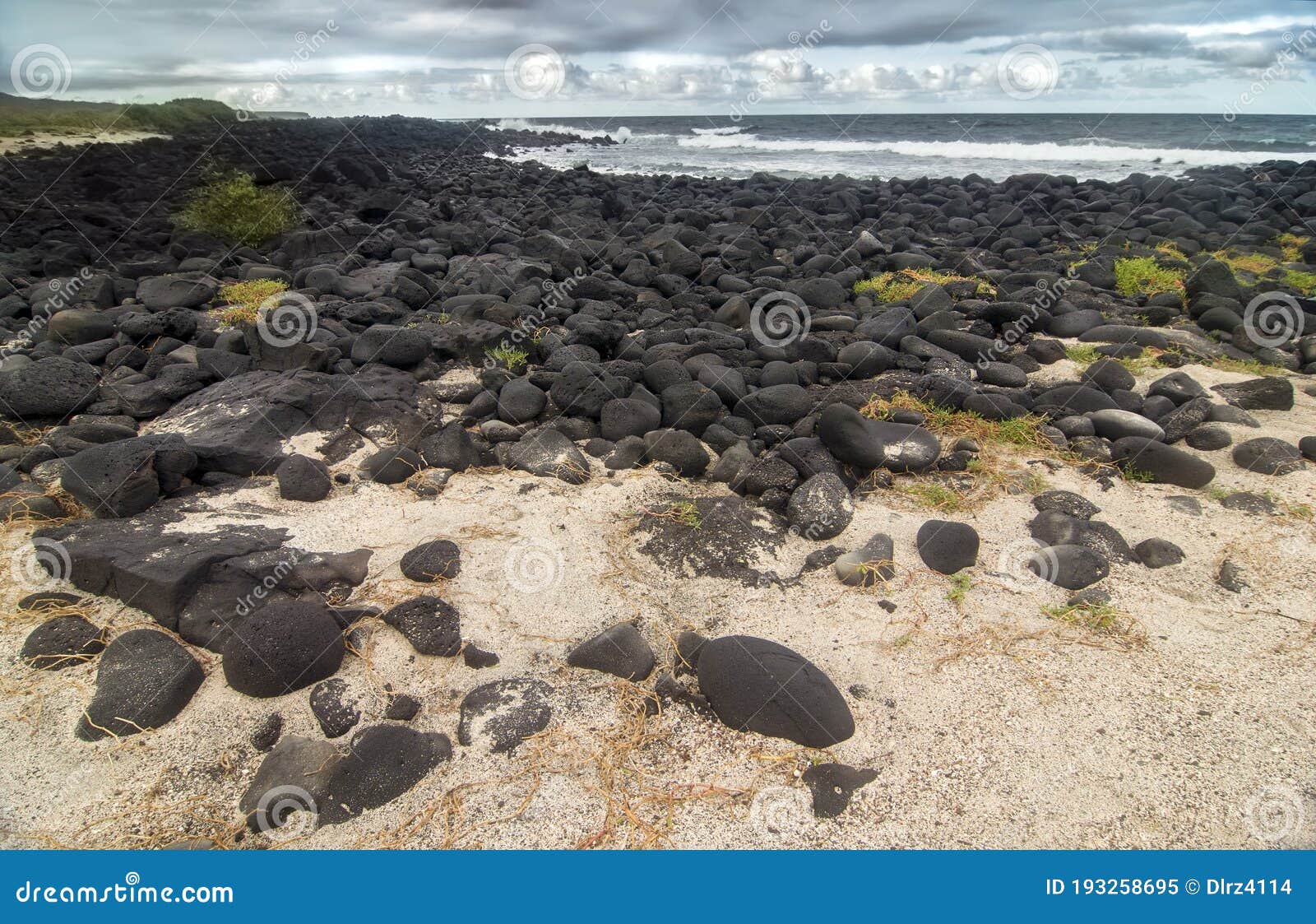 Volcanic Beach at Galapagos Islands Stock Image - Image of ocean, sand ...