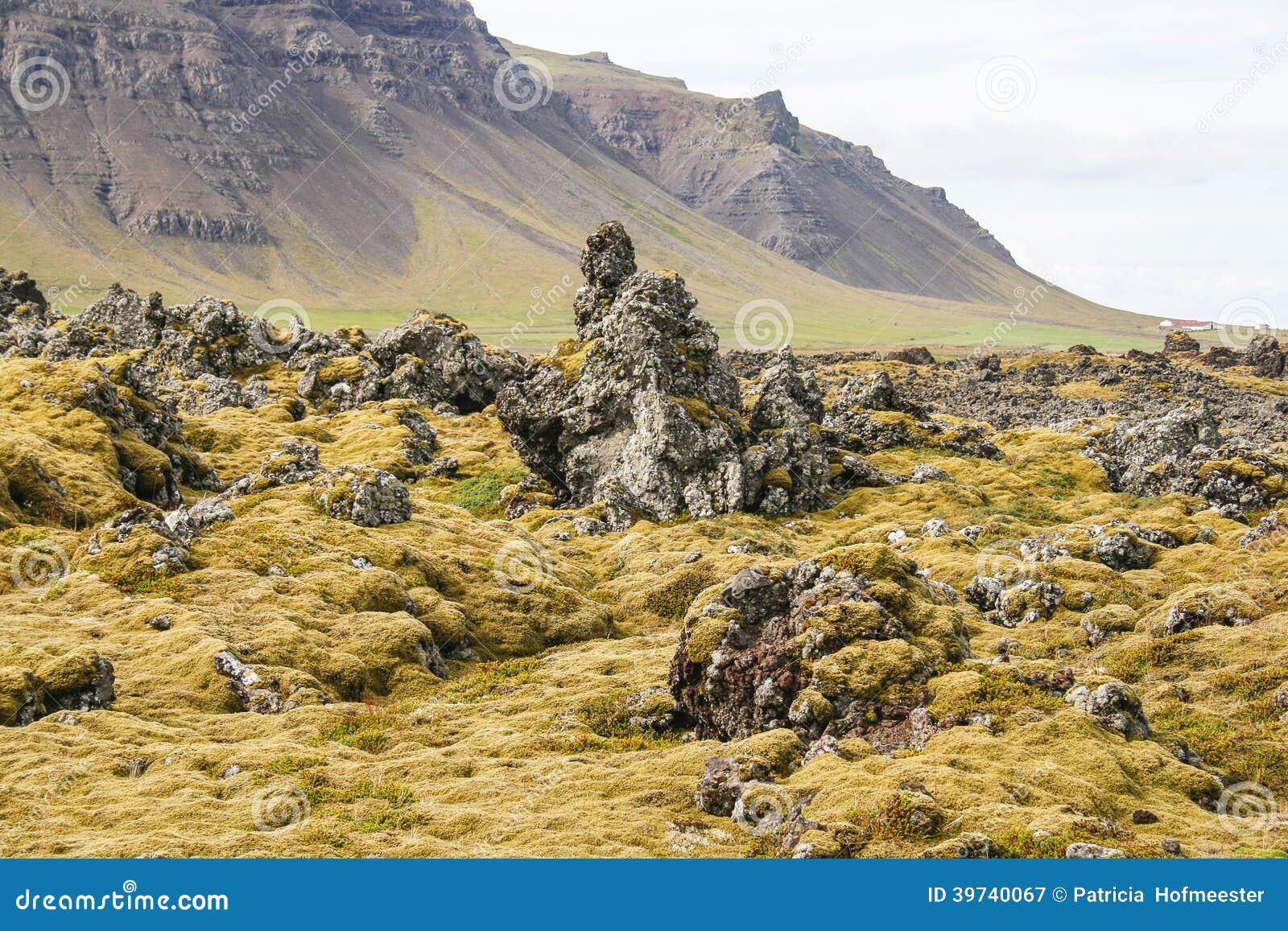 Volcanic Landscape in Iceland Stock Image - Image of verne, europe ...