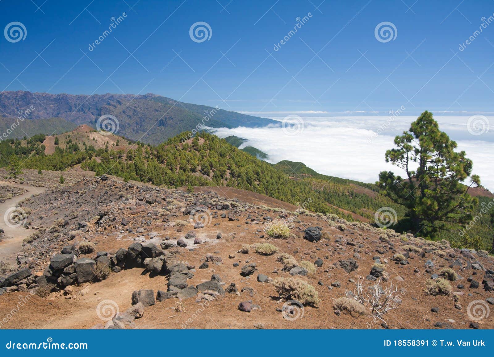 Volcanic Landscape of La Palma, Canary Islands Stock Image - Image of ...