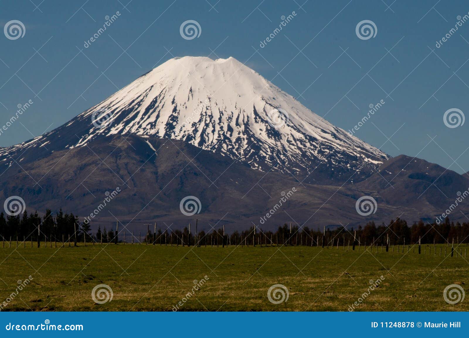 Volcanic Mountain & Farmland Stock Photo - Image of wool, newzealand ...