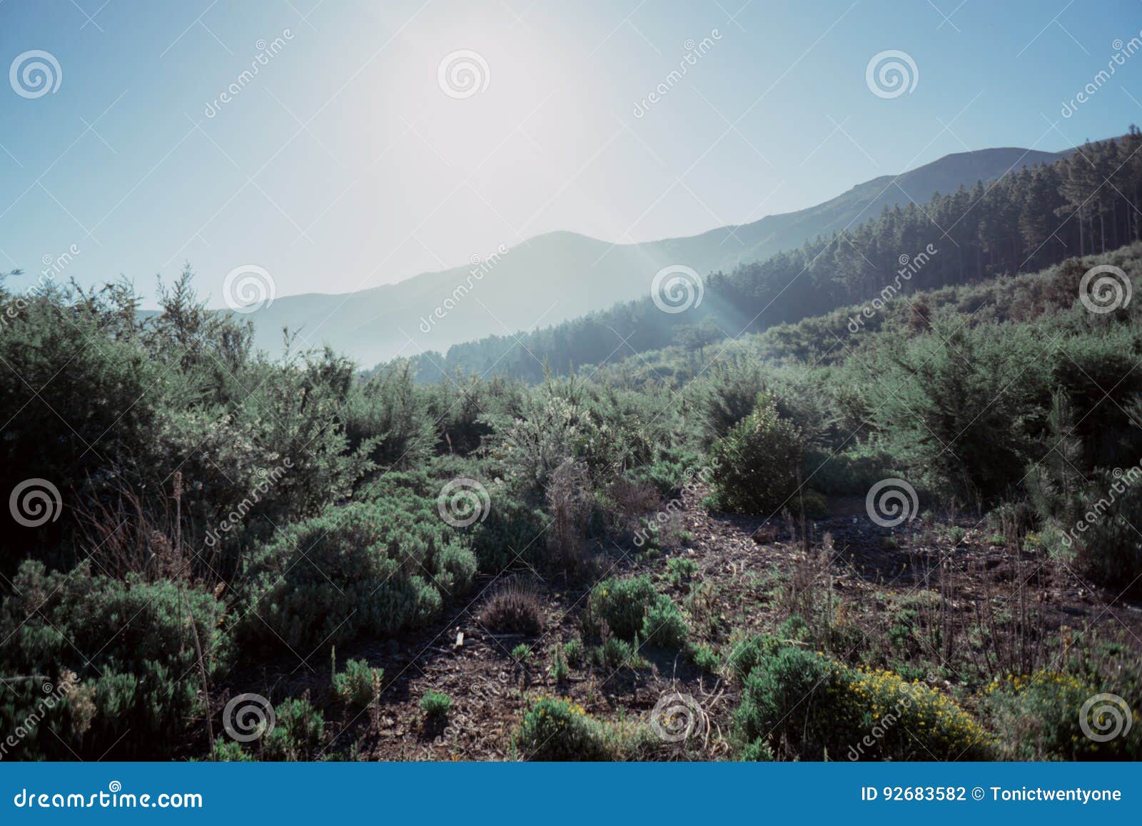 Volcanic mountain range 3 stock photo. Image of spain - 92683582