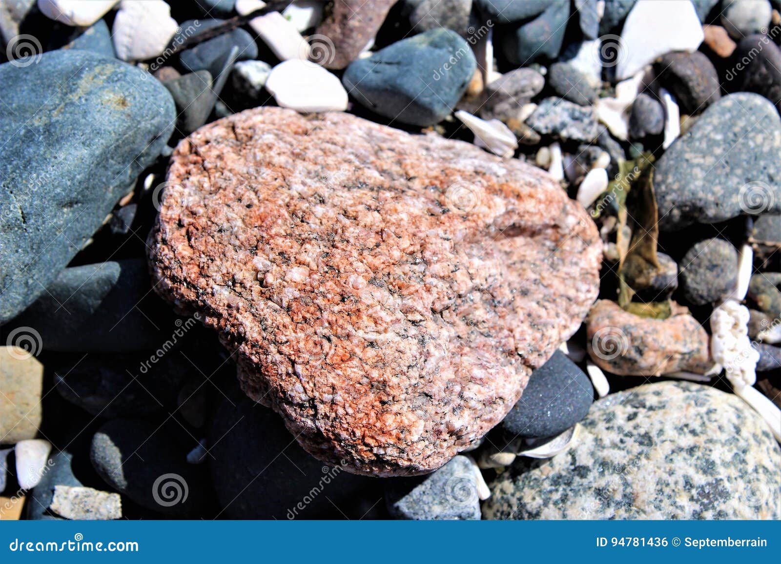 Volcanic Rock Containing Iron Stock Photo - Image of close, glassy ...