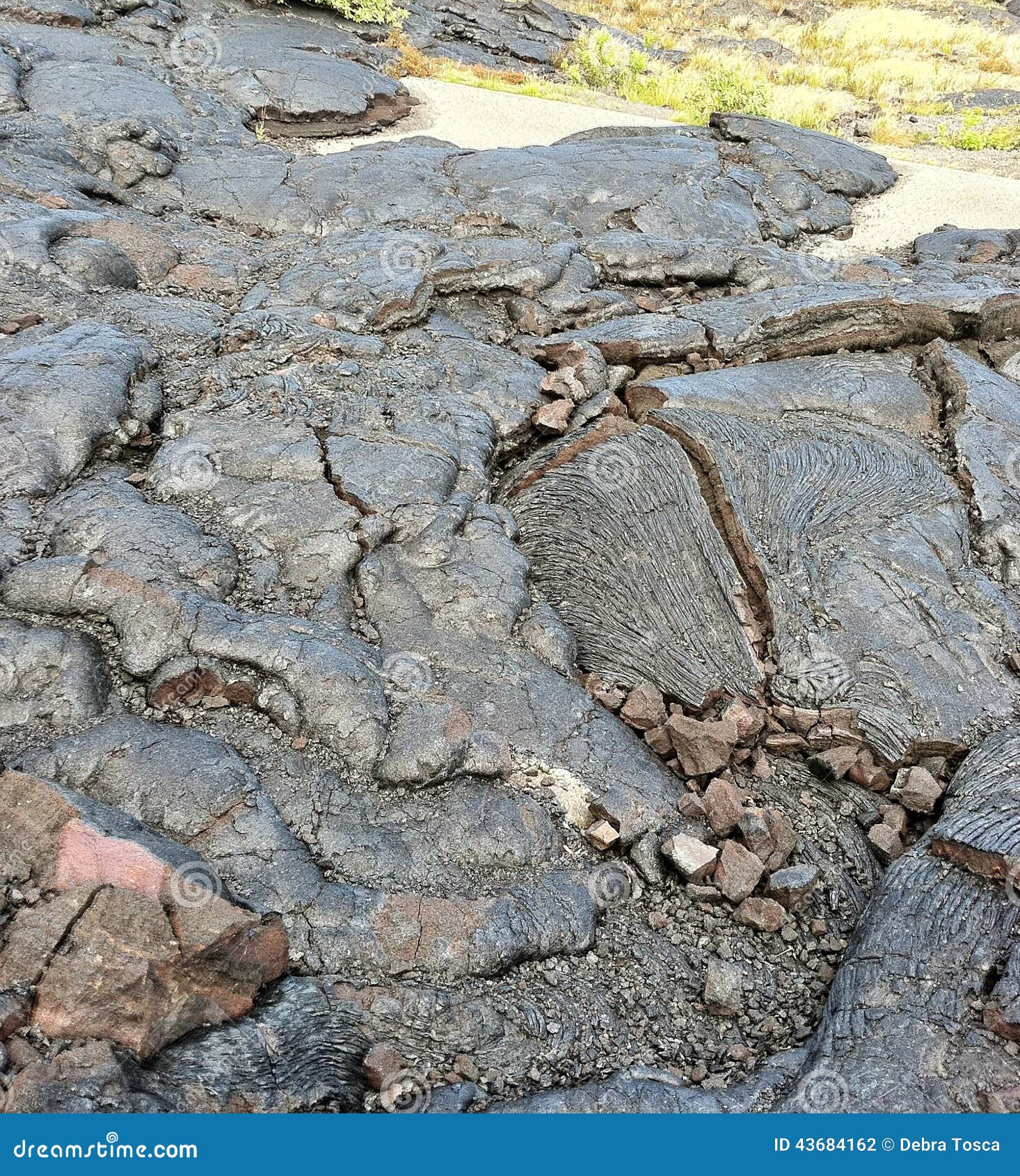 Volcanic rock Hawaii stock photo. Image of hawaii, black - 43684162