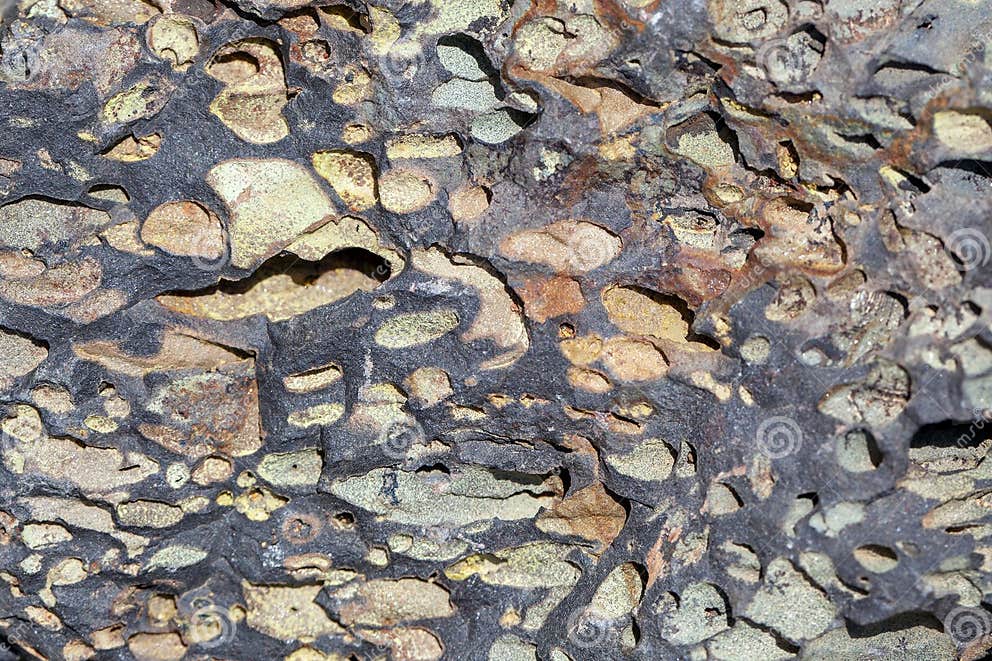 Volcanic rock with pores stock photo. Image of abstract - 295866560