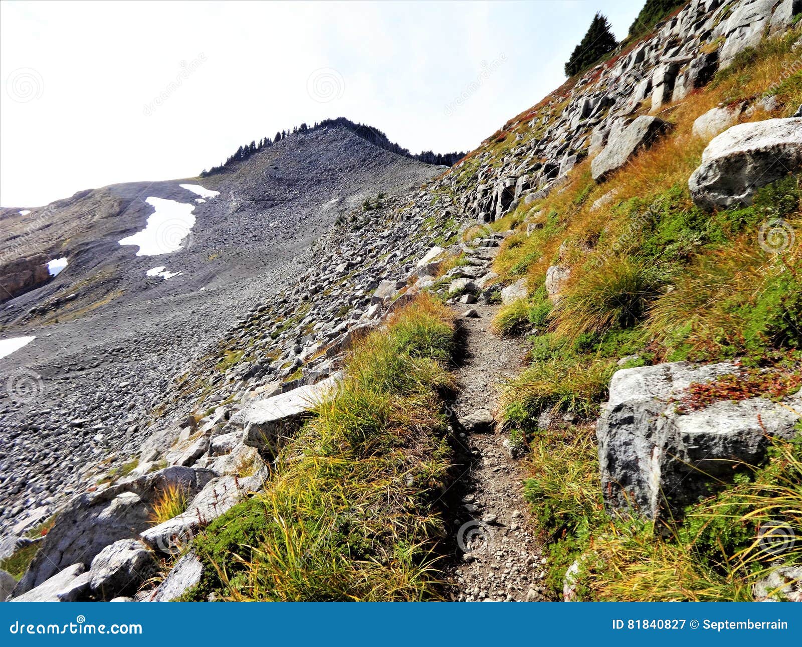 Volcanic Rock Slope on Ptarmigan Ridge Trail Stock Image - Image of ...