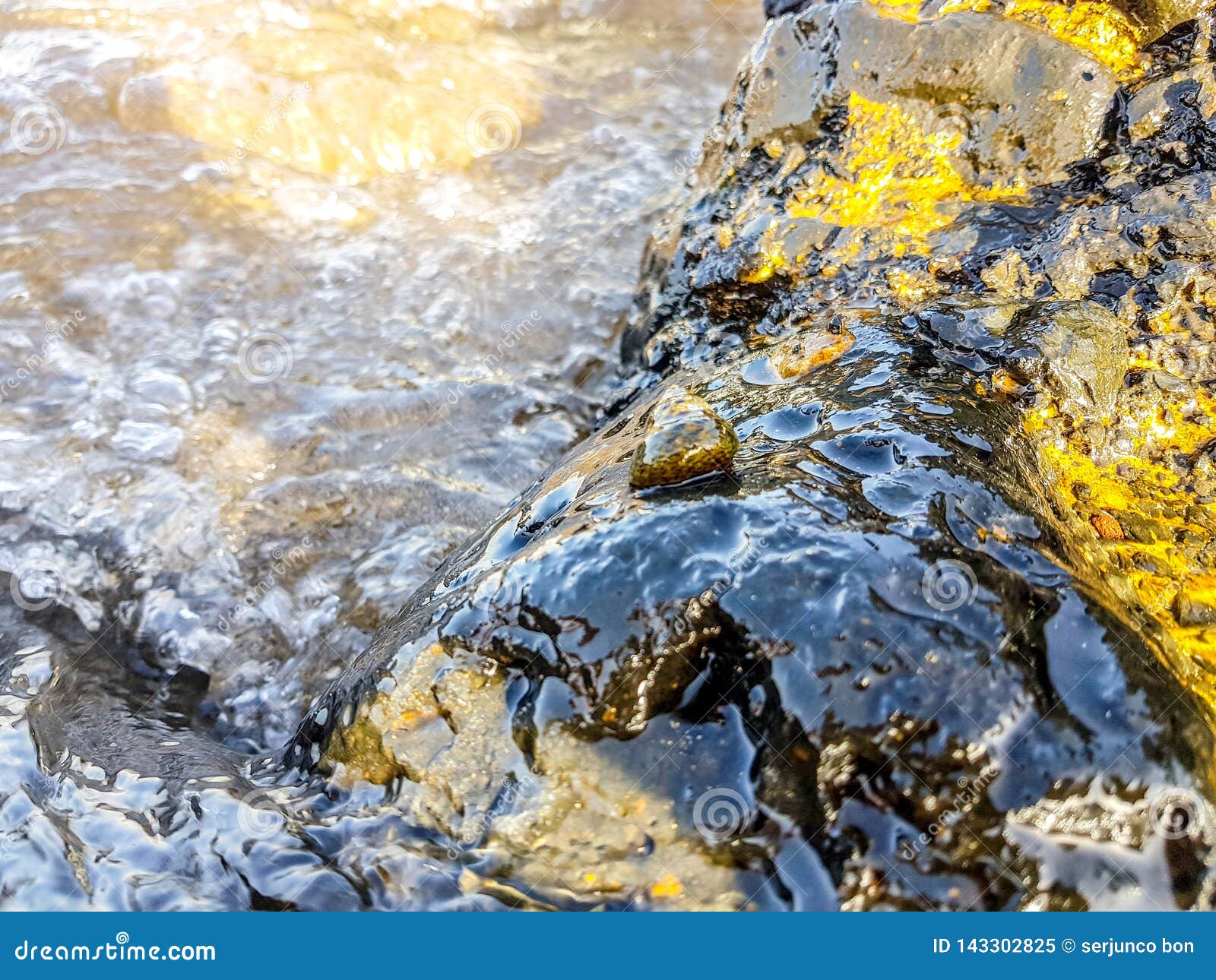 Volcanic Rocks on the Shore of the Sea Wet by the Waves and with a Sea ...