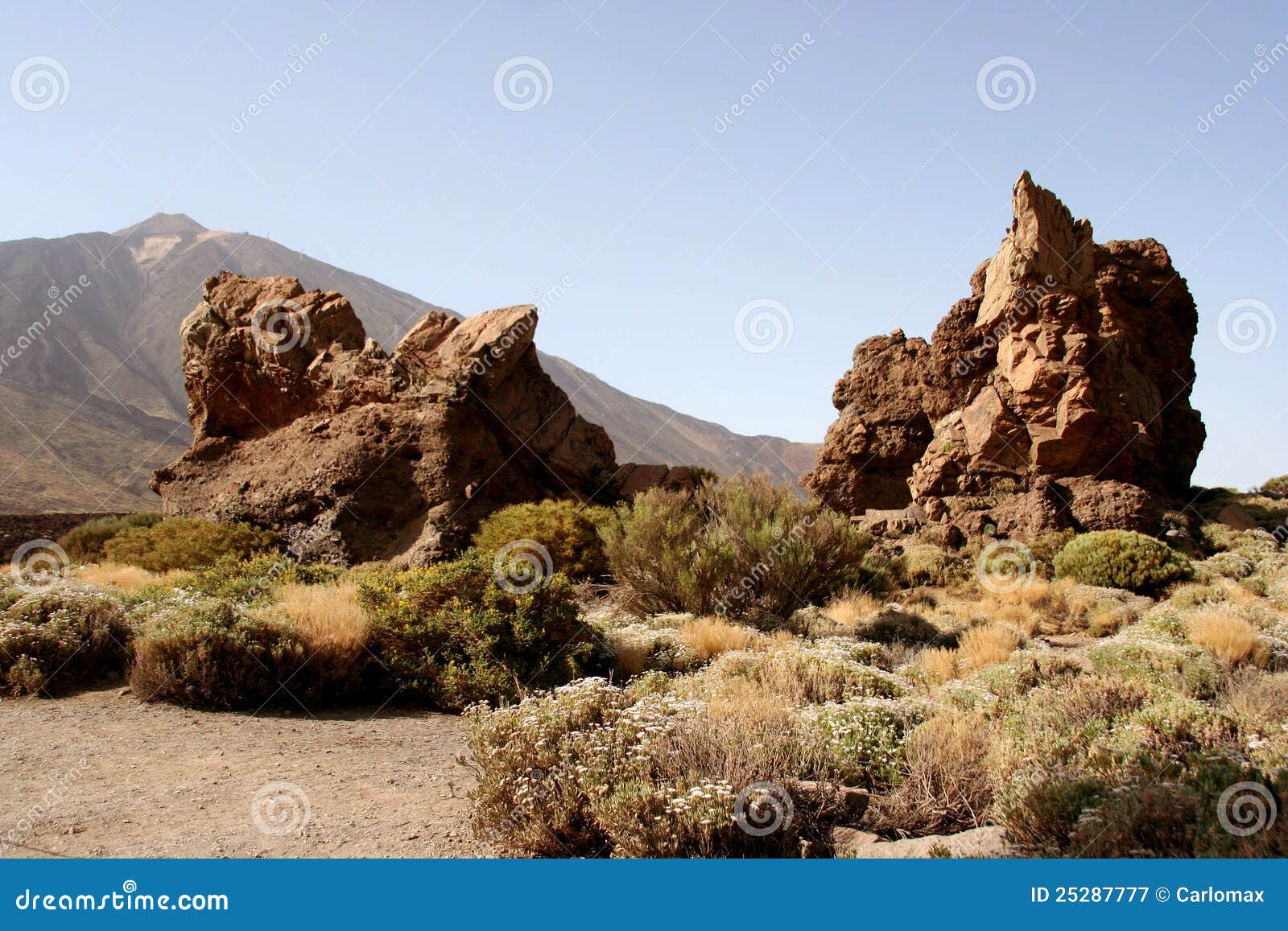 Volcanic stones. Tenerife stock image. Image of nature - 25287777