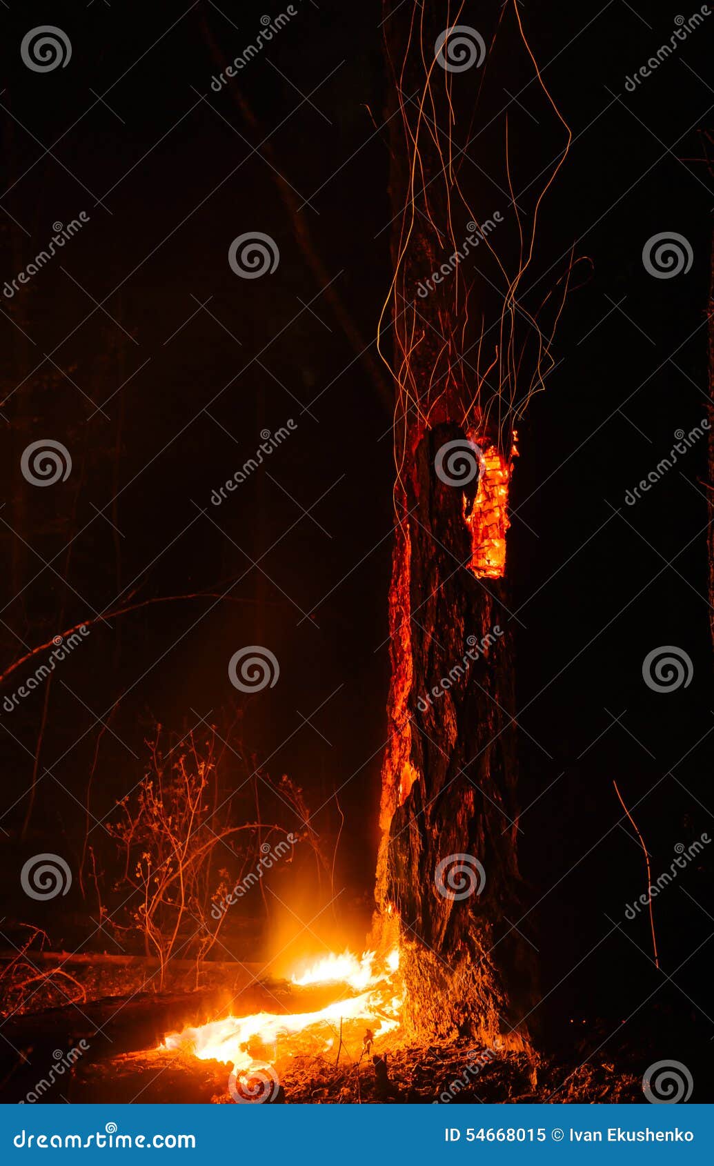 Volcanic wildfire stock image. Image of forest, hotly - 54668015