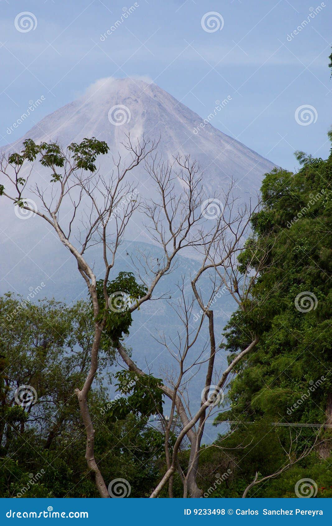 Volcano stock photo. Image of surroundings, ecosystem - 9233498