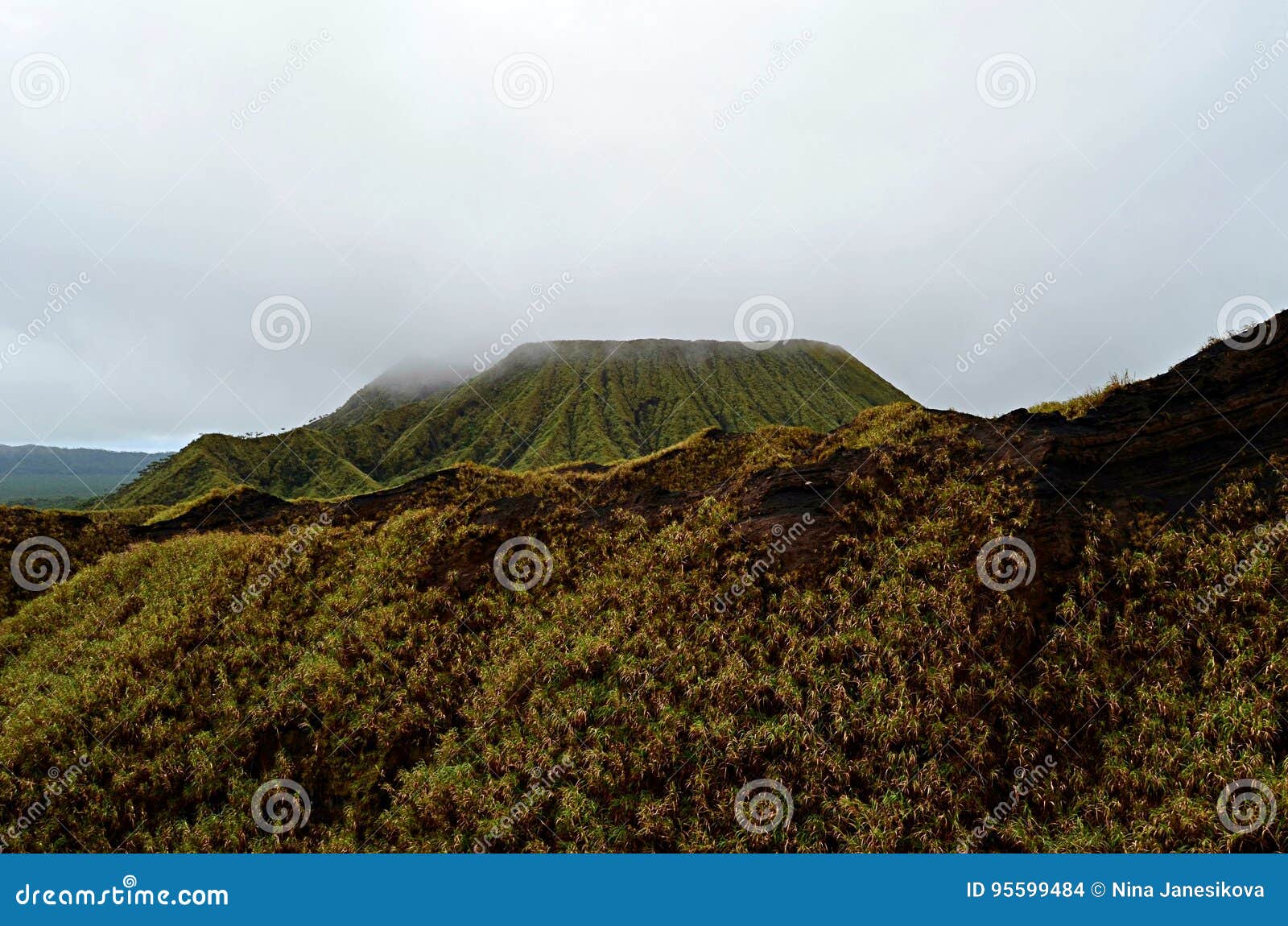 Volcano in Ambrym Island, Vanuatu Stock Photo - Image of panorama ...