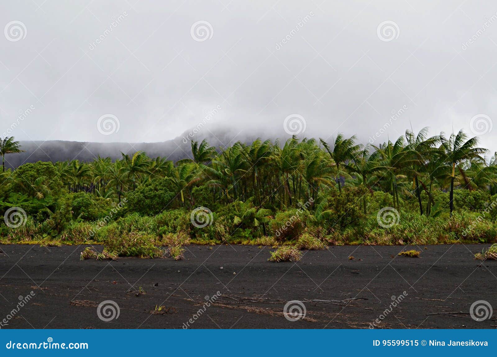 Volcano in Ambrym Island, Vanuatu Stock Image - Image of climbing ...