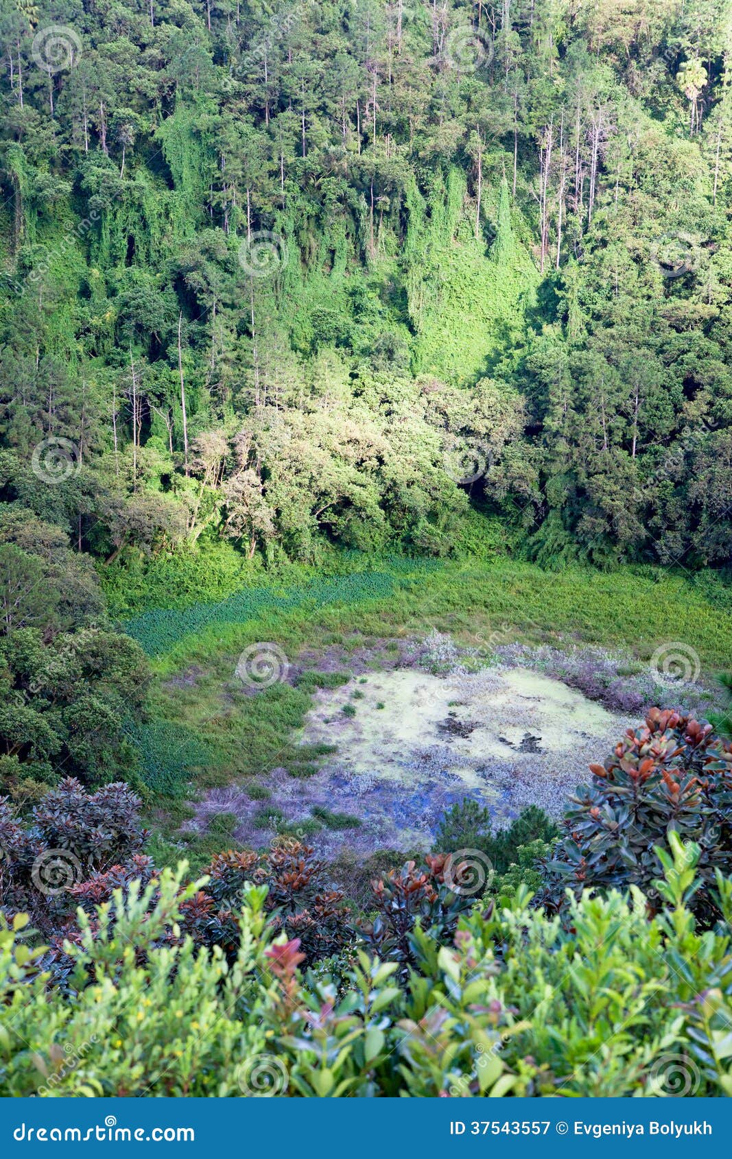 Volcano Crater in Mauritius Stock Image - Image of sightseeing ...