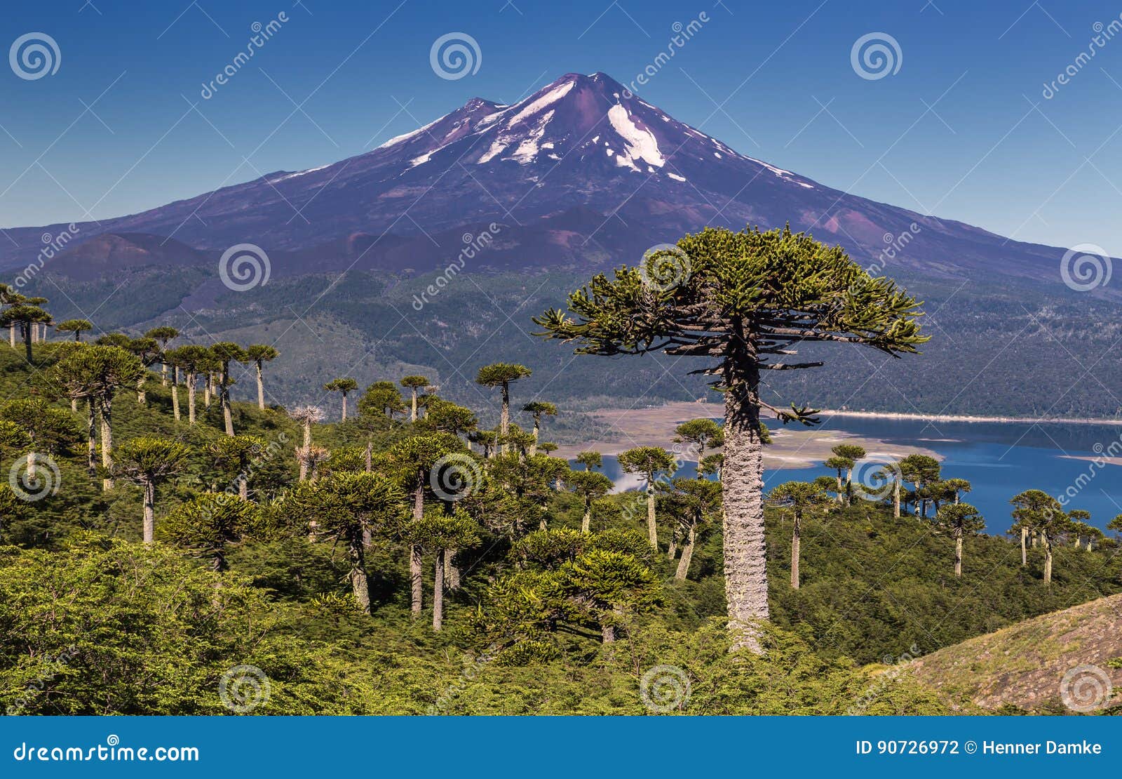 Volcano Llaima - Chile stock photo. Image of alone, chile - 90726972