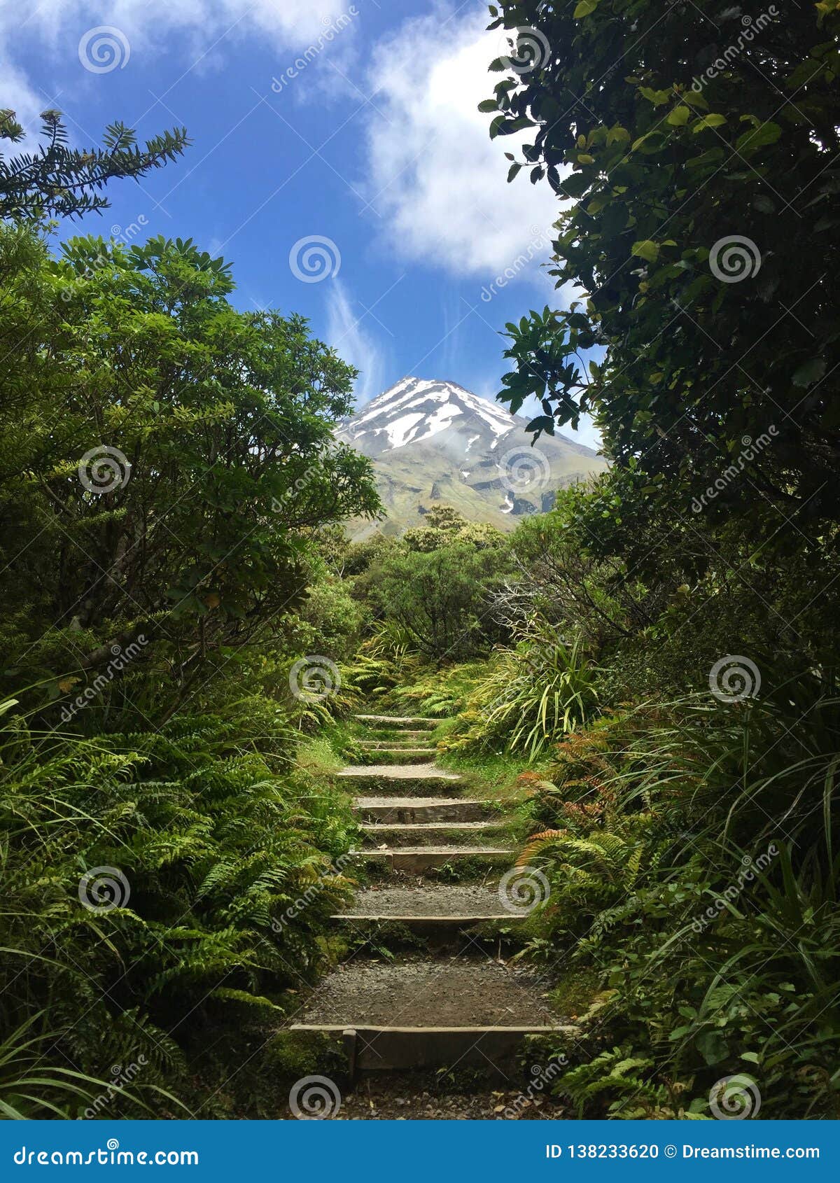 Volcano Mt. Taranaki during Midday Stock Photo - Image of nature ...