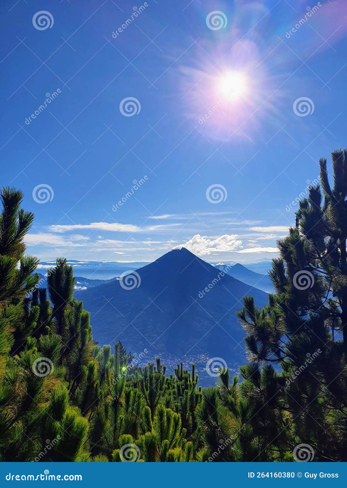 Volcano and Sun through Trees Stock Photo - Image of wilderness, meadow ...