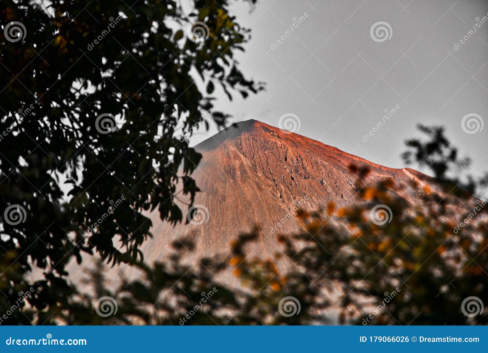 Volcano in between Two Trees Stock Photo - Image of nature, volcano ...
