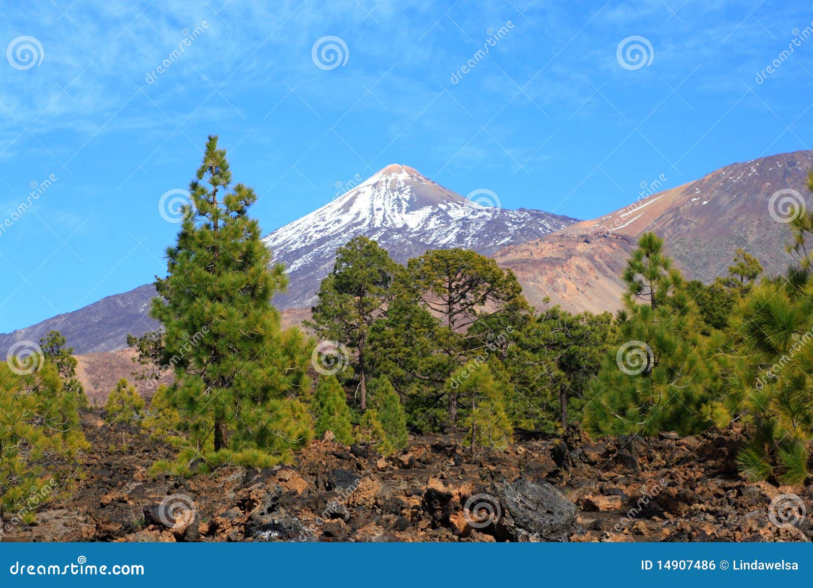 Volcano view through trees stock photo. Image of canary - 14907486