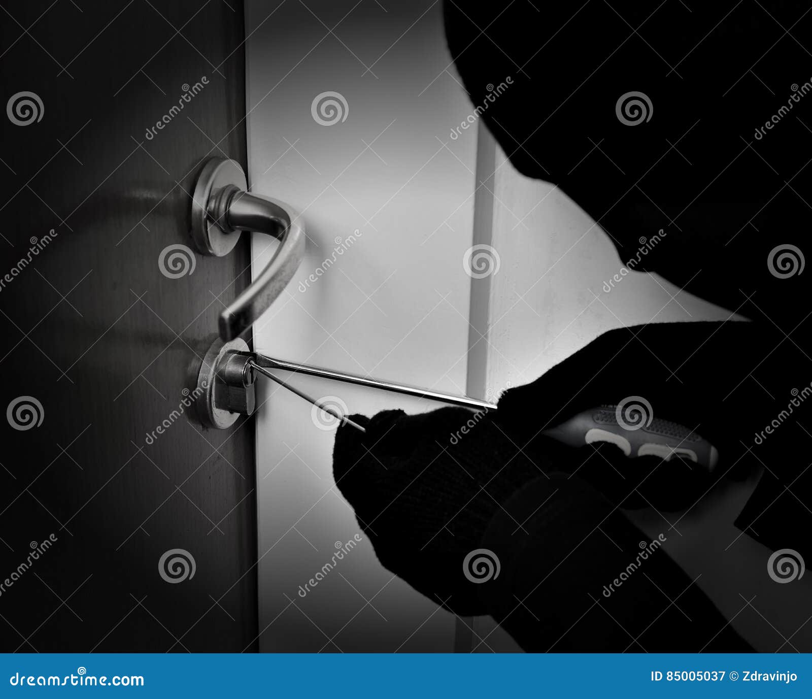 Voleur Cassant La Serrure De Porte Image stock - Image du cambrioleur ...
