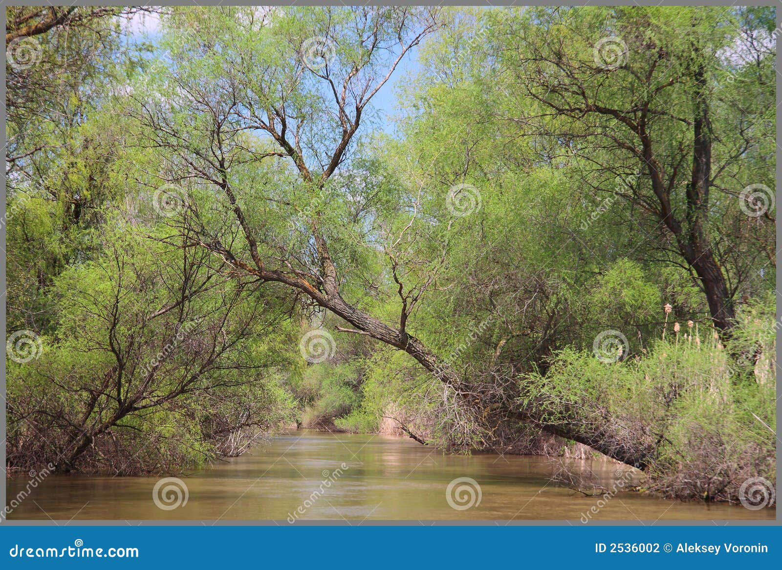 Volga,lower Reaches of a River Stock Photo - Image of south, beautiful ...