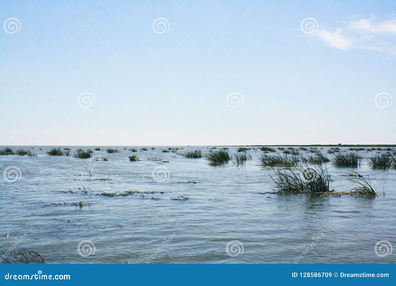 Volga river delta stock image. Image of water, nature - 128586709