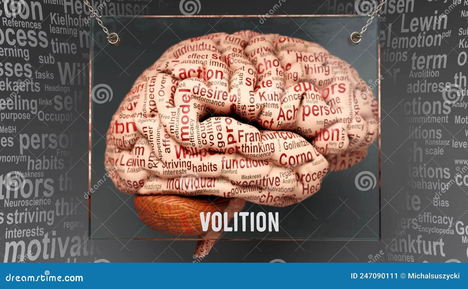 Volition in human brain stock illustration. Illustration of words ...