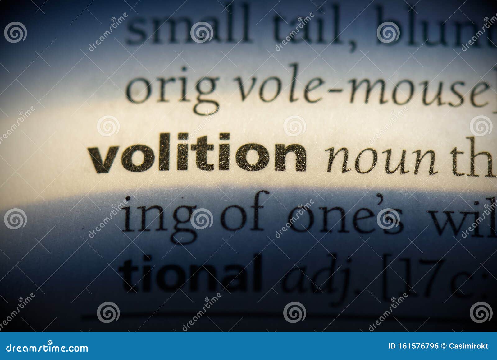 Volition stock photo. Image of macro, concept, page - 161576796