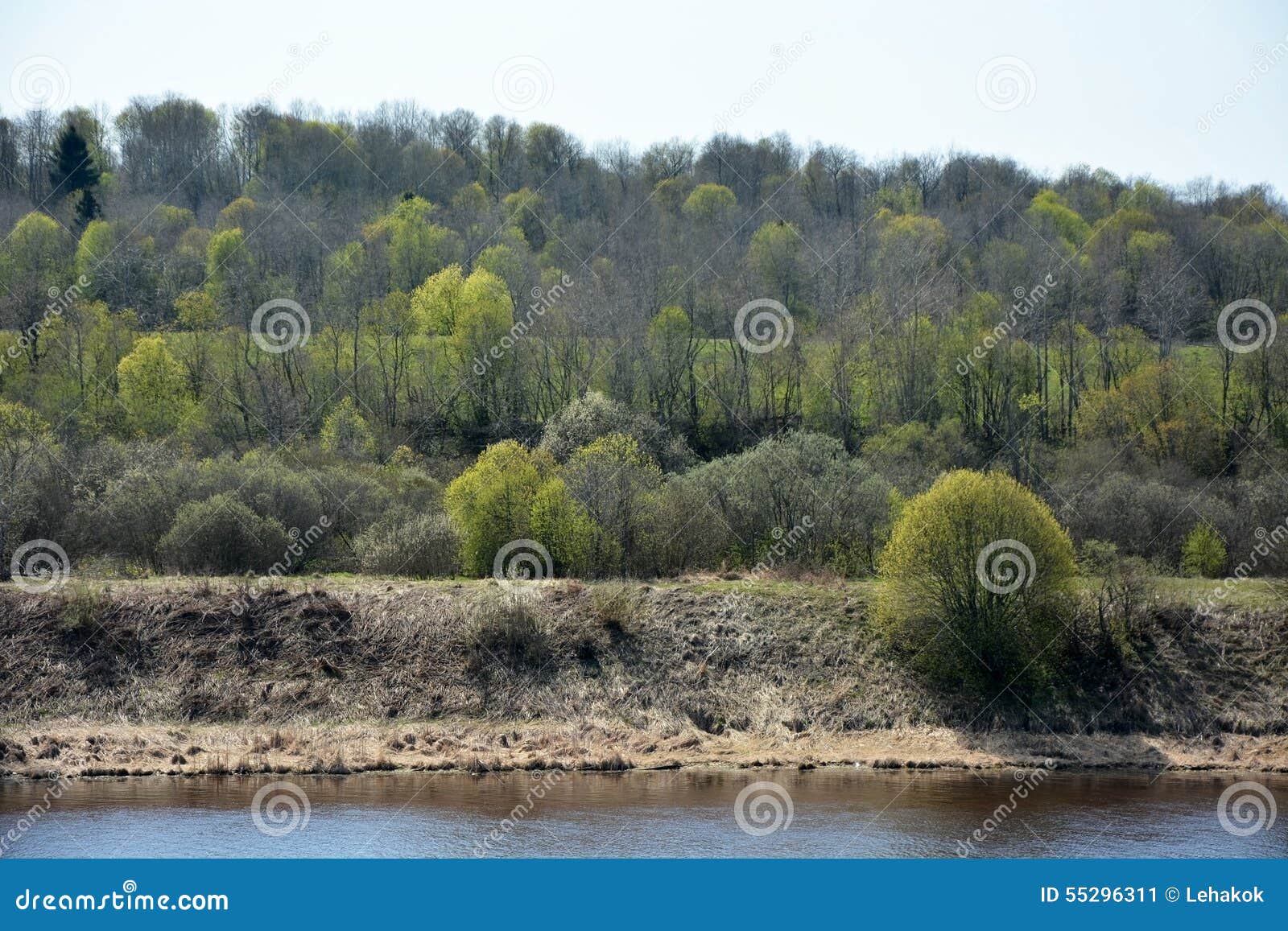 Volkhov river stock image. Image of coast, landscape - 55296311