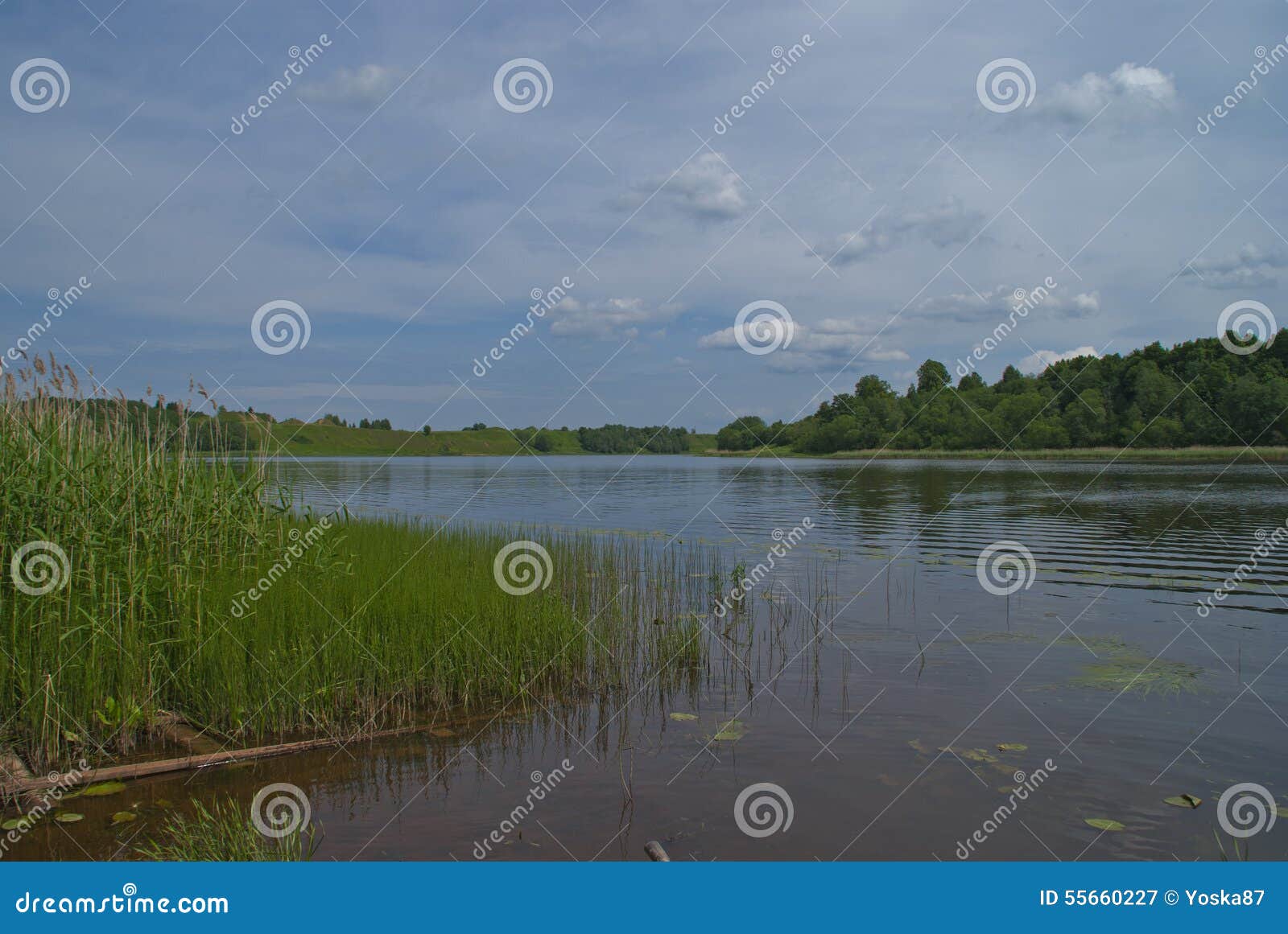 Volkhov river stock image. Image of panoramic, nature - 55660227